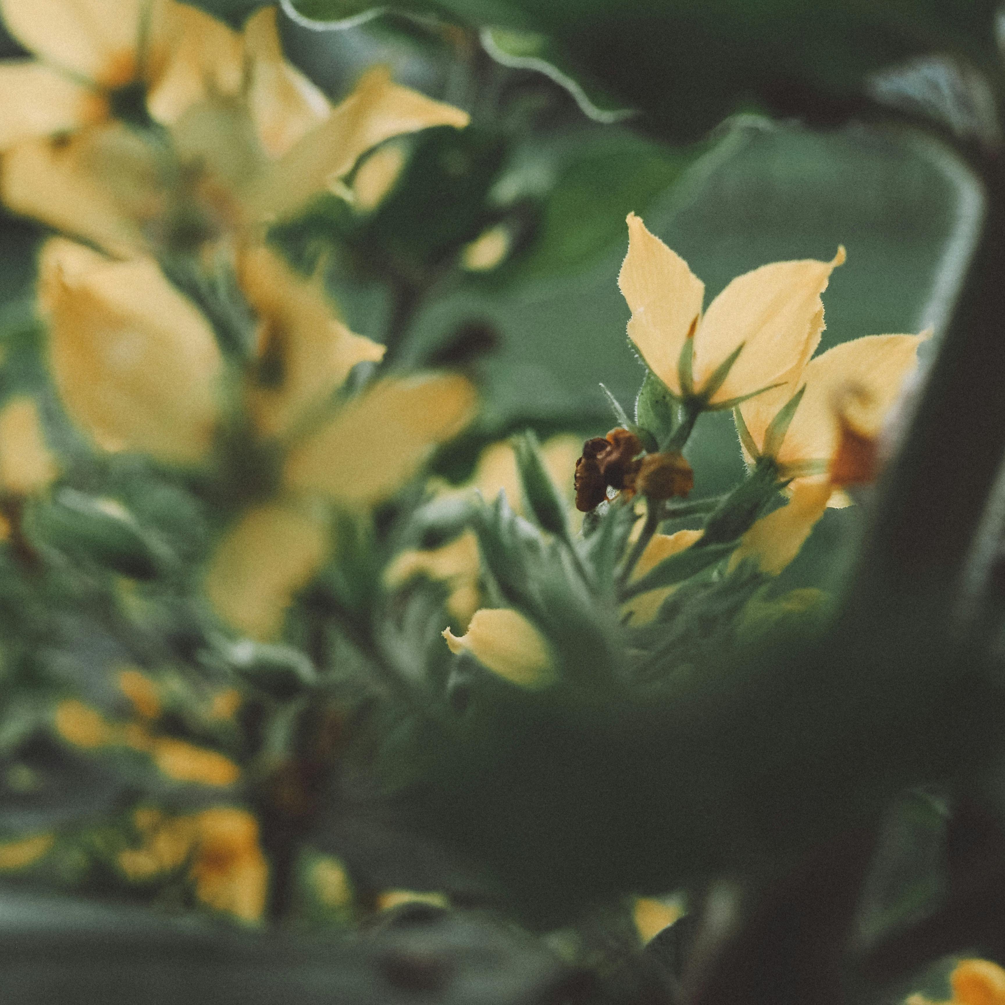 Creative Photo of a Seashore · Free Stock Photo