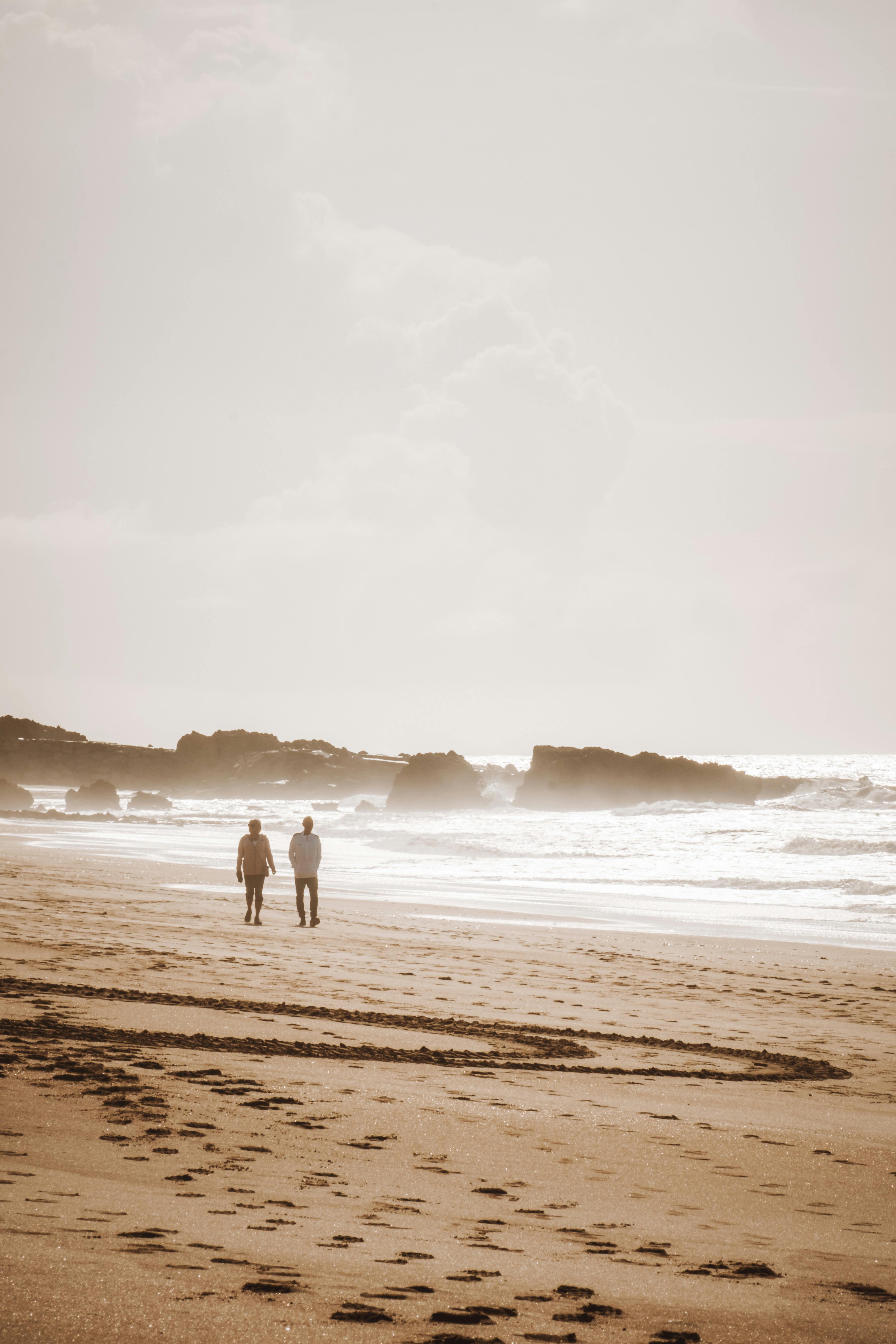 People Walking on Beach on Dawn · Free Stock Photo