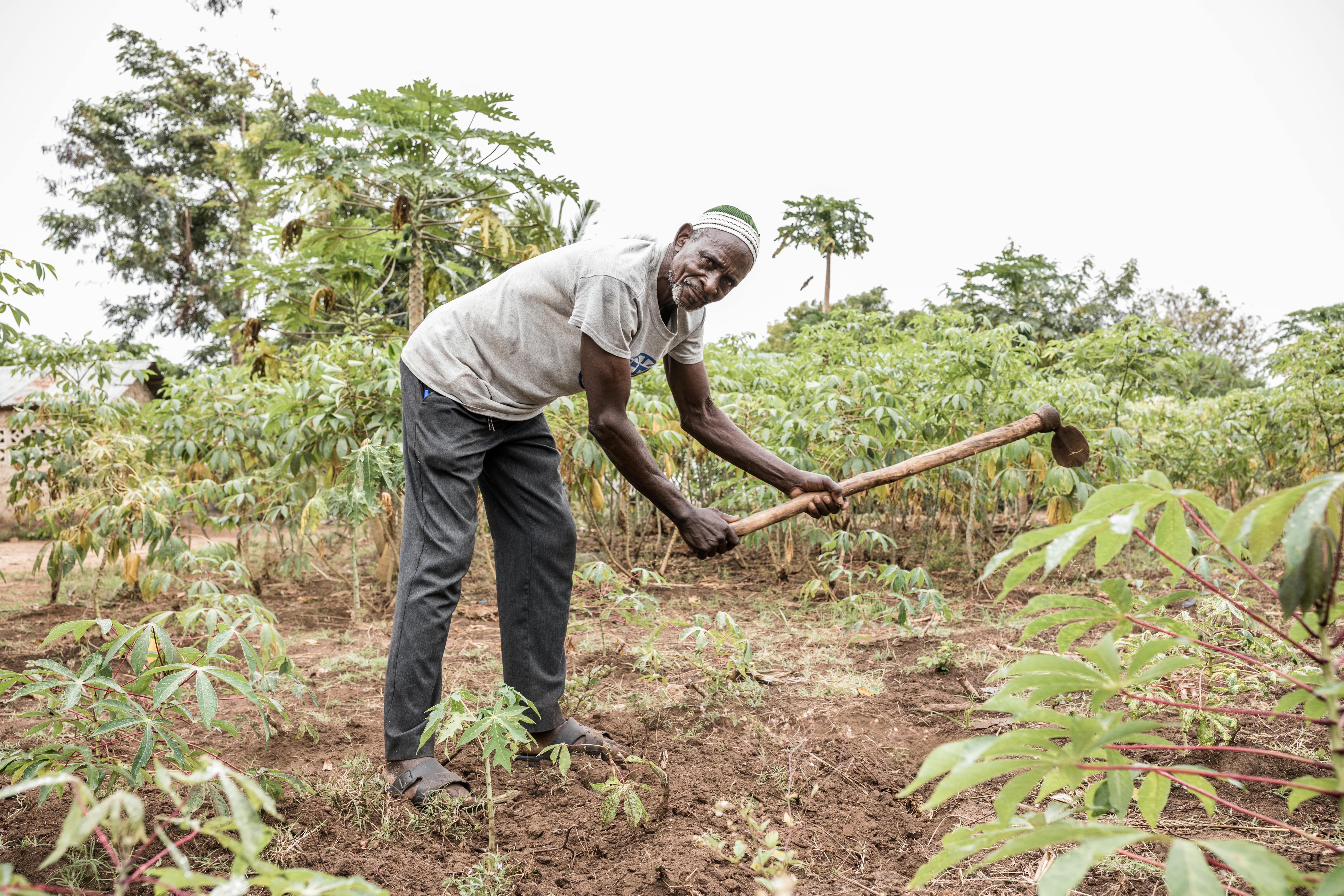 Woman in Red Jacket Holding Hoe · Free Stock Photo