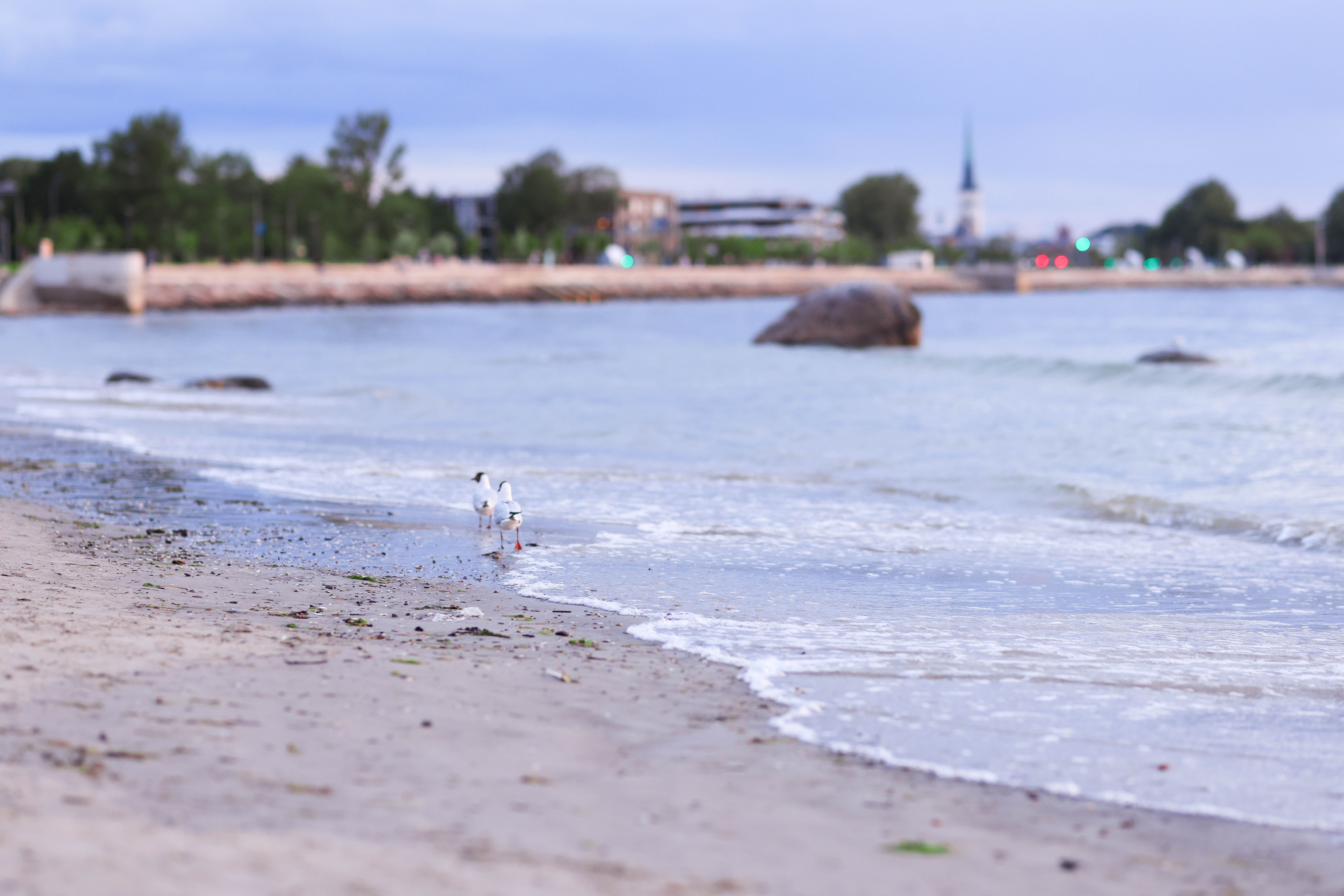 Photo of a Sea Beach · Free Stock Photo
