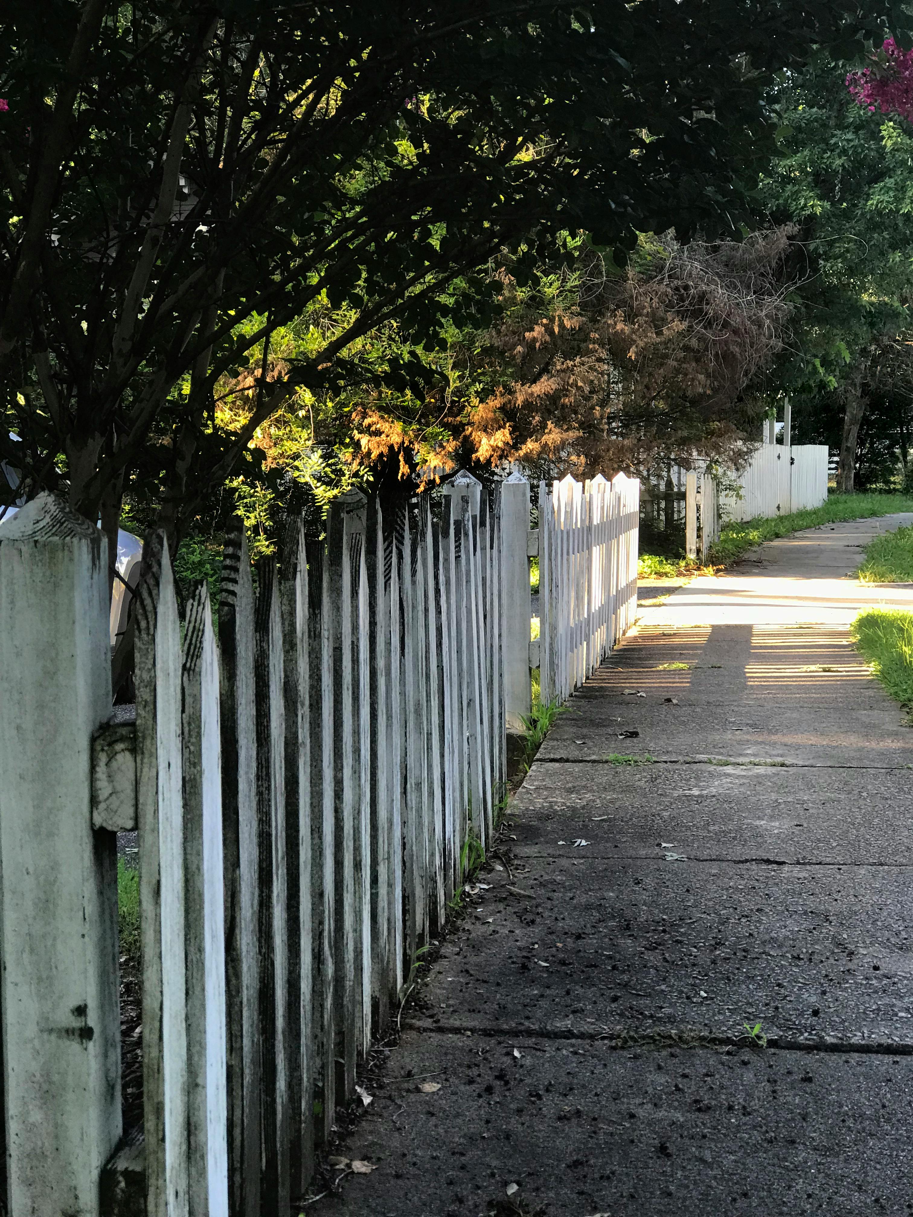 Lynn Nash - Fotografía