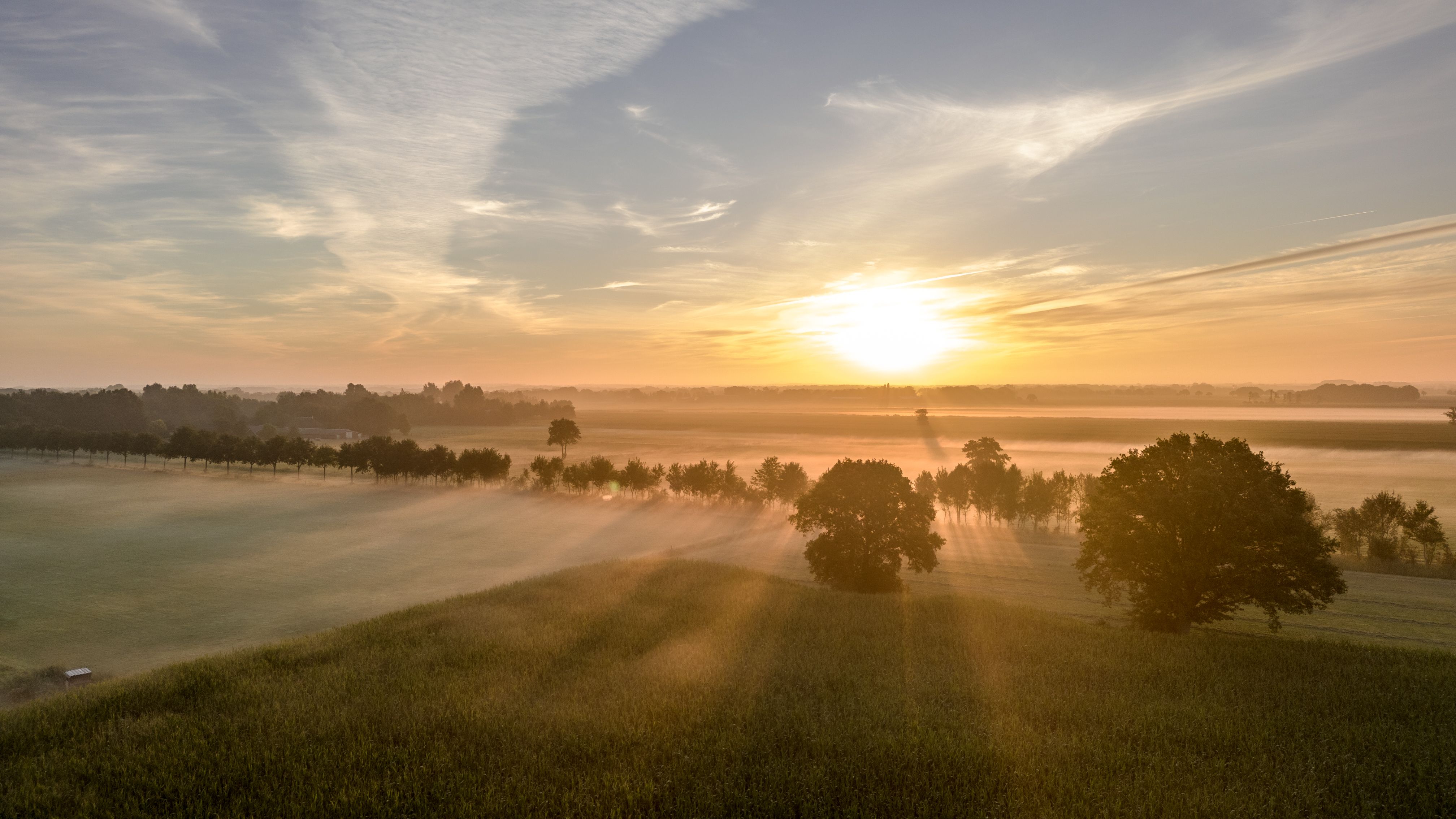 Die besten Balloërveld Drenthe-Fotos · Kostenlos Downloaden · Pexels ...