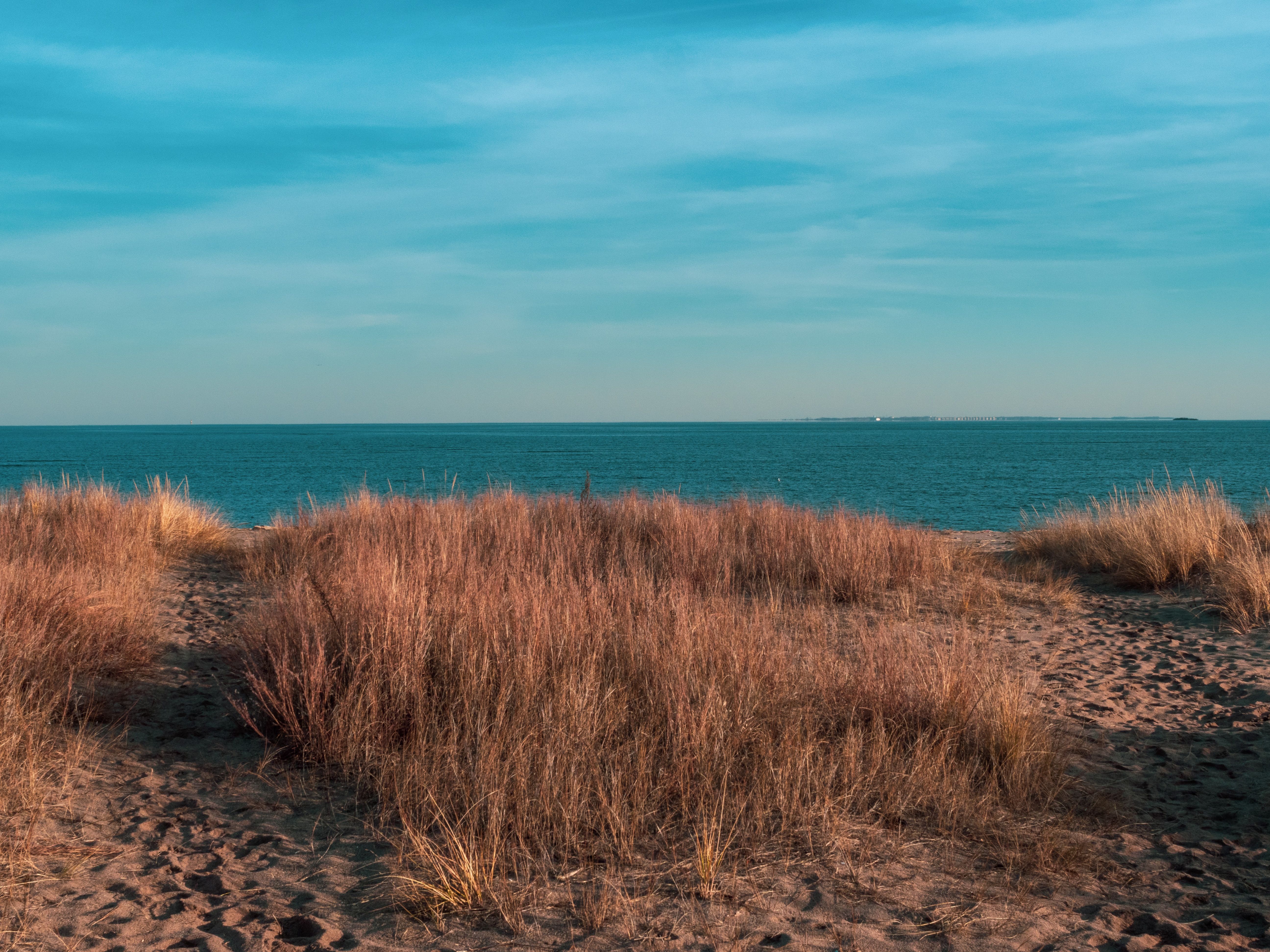 Brown Grass Near Body of Water · Free Stock Photo