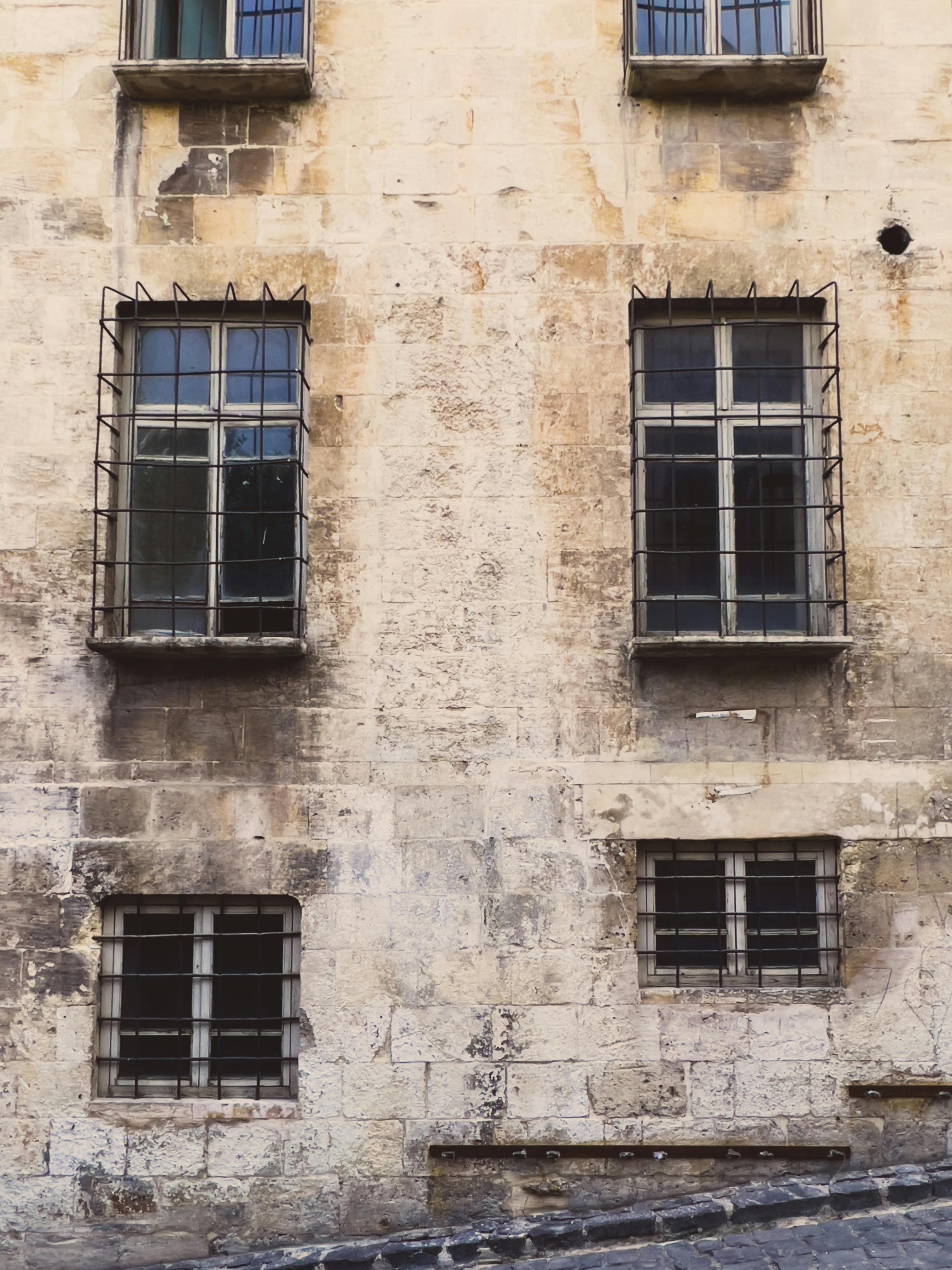 Plants Growing Out f an Abandoned Building Window · Free Stock Photo