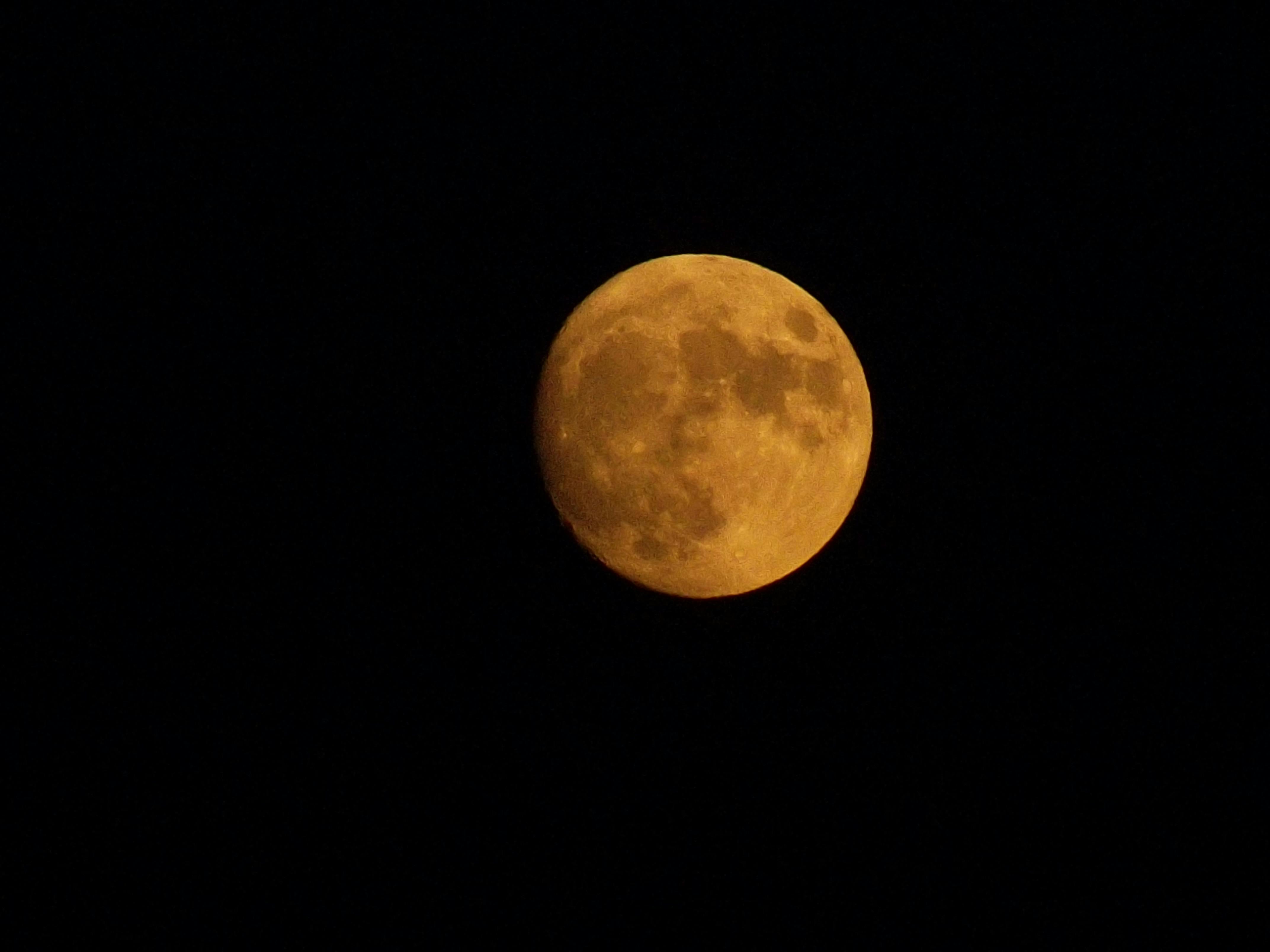 Full Moon in Dark Night Sky · Free Stock Photo