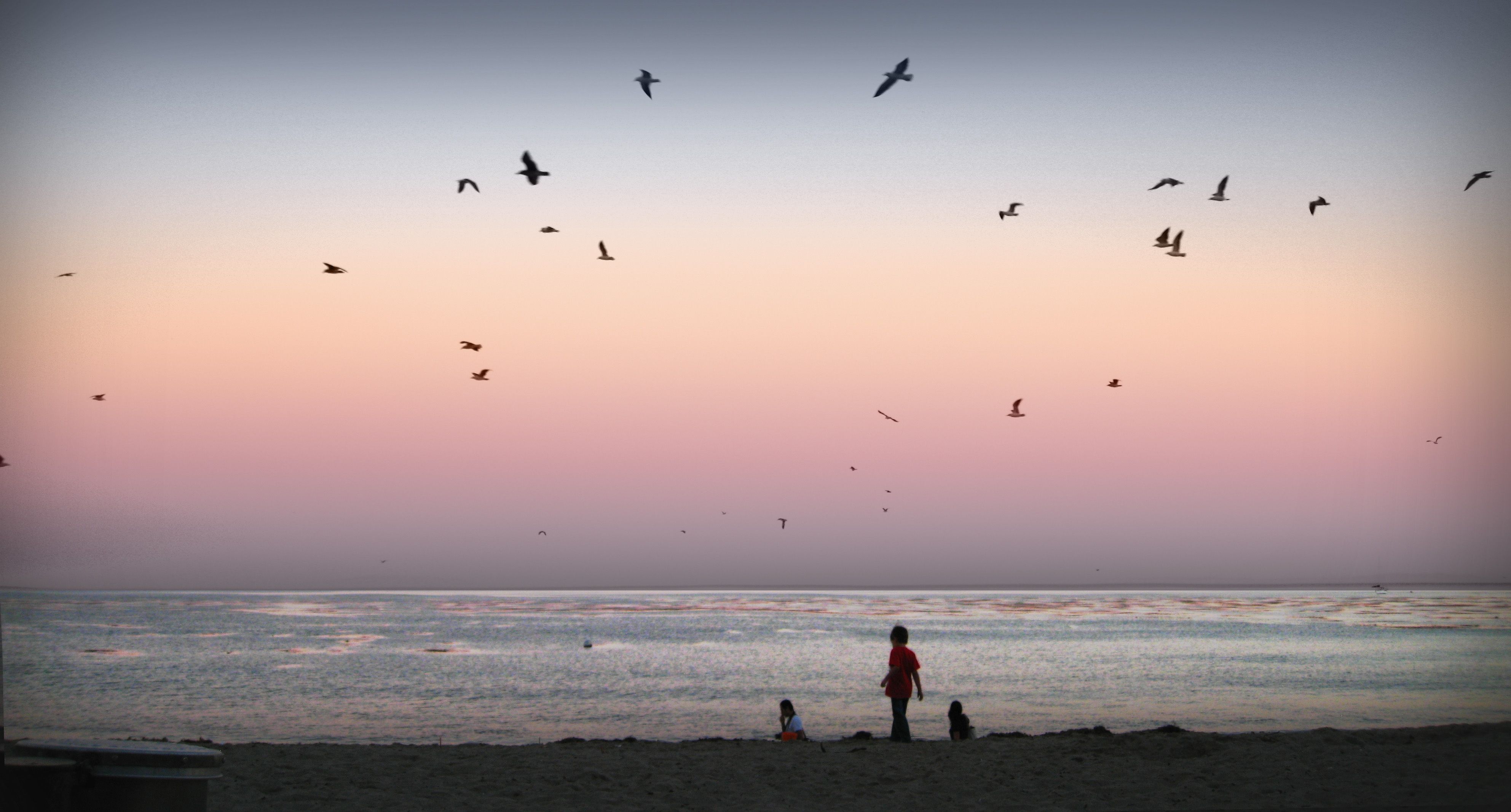 Free stock photo of beach, children, ocean