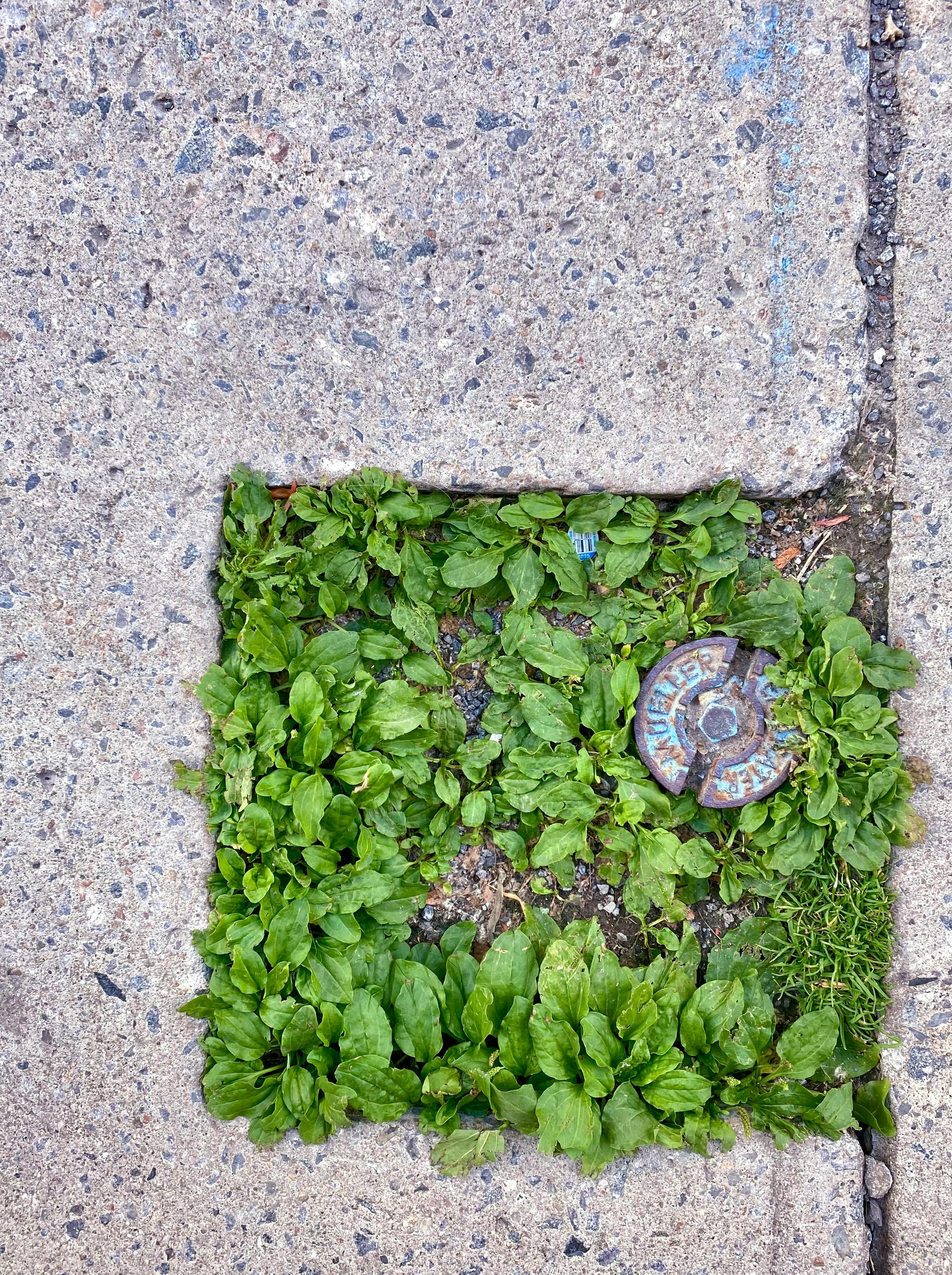 Eco Slabs Pavement Photos, Download The BEST Free Eco Slabs Pavement ...