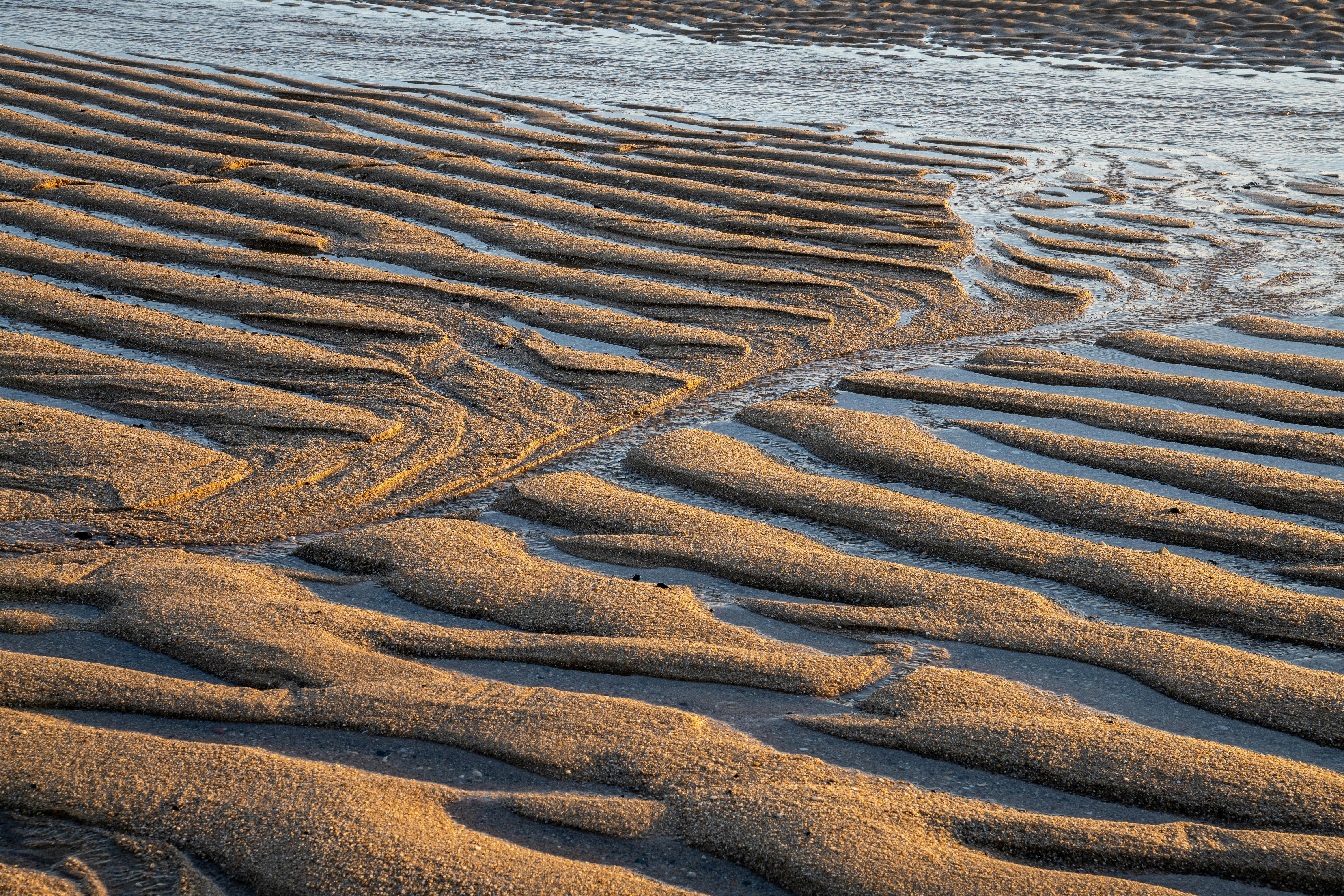 Brown Sand on the Beach · Free Stock Photo