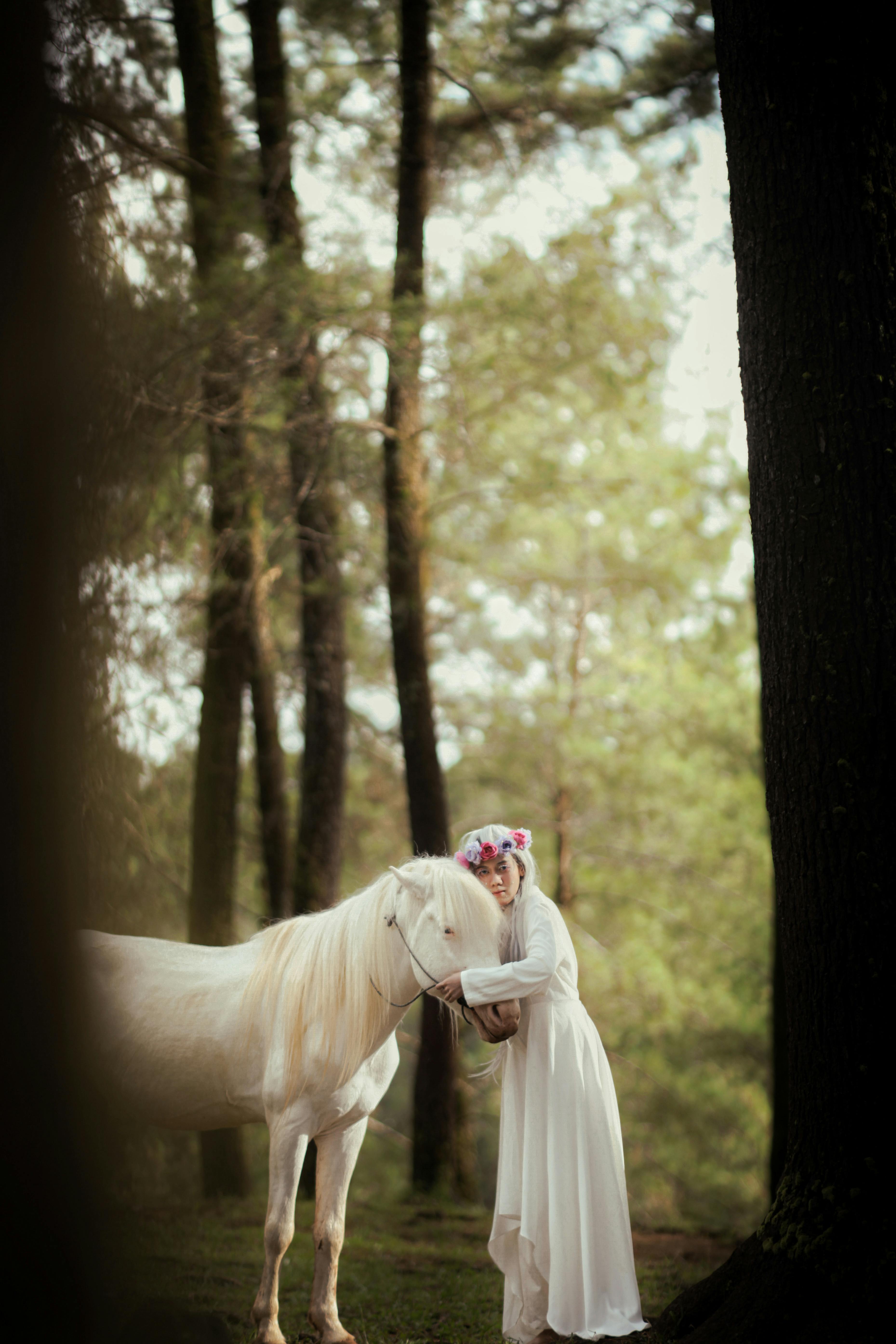 Magical Love In Forest Photos, Download The BEST Free Magical Love In ...