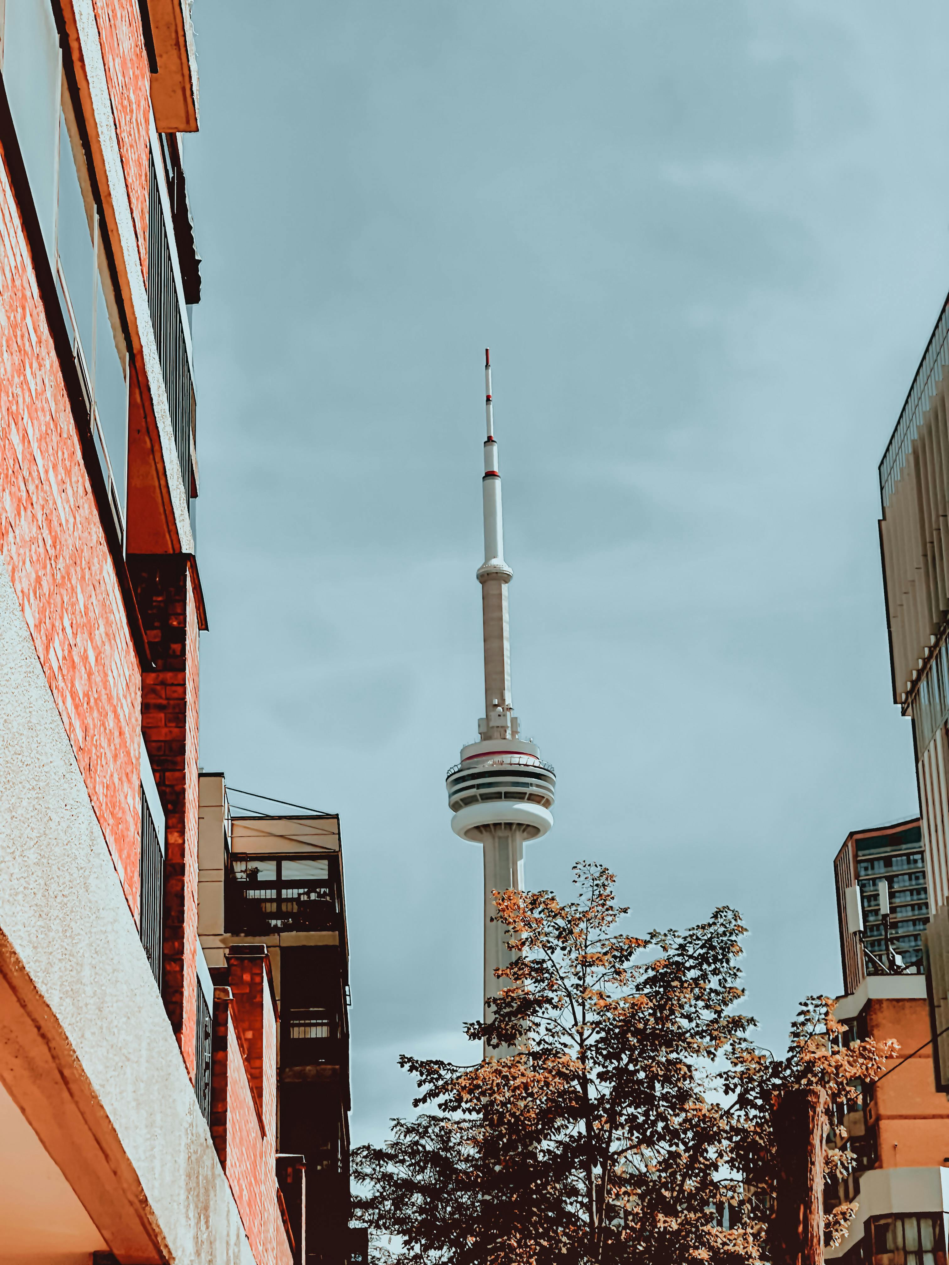 Baywatch Tower Photos, Download Free Baywatch Tower Stock Photos & HD ...