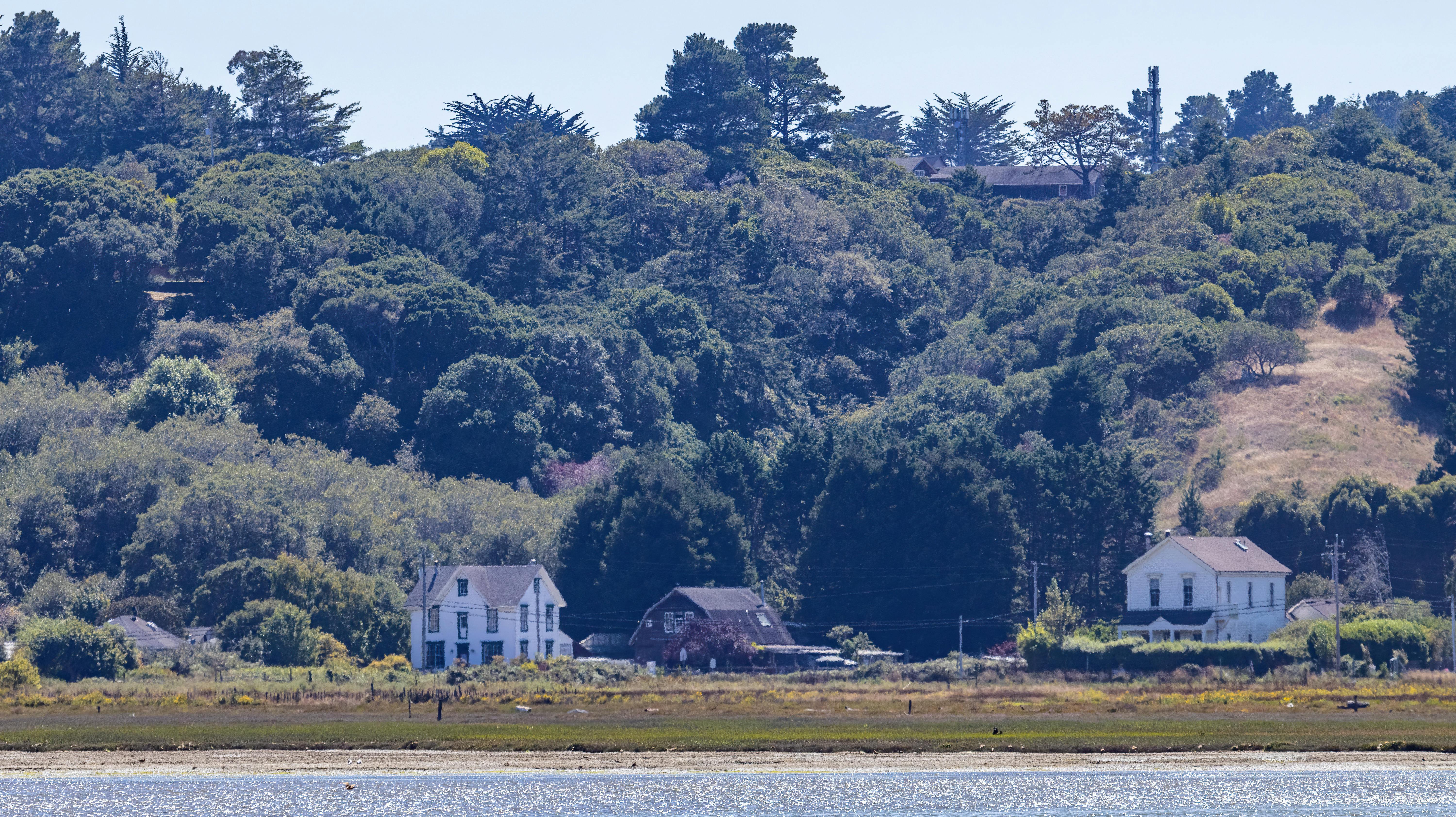 Houses by River · Free Stock Photo