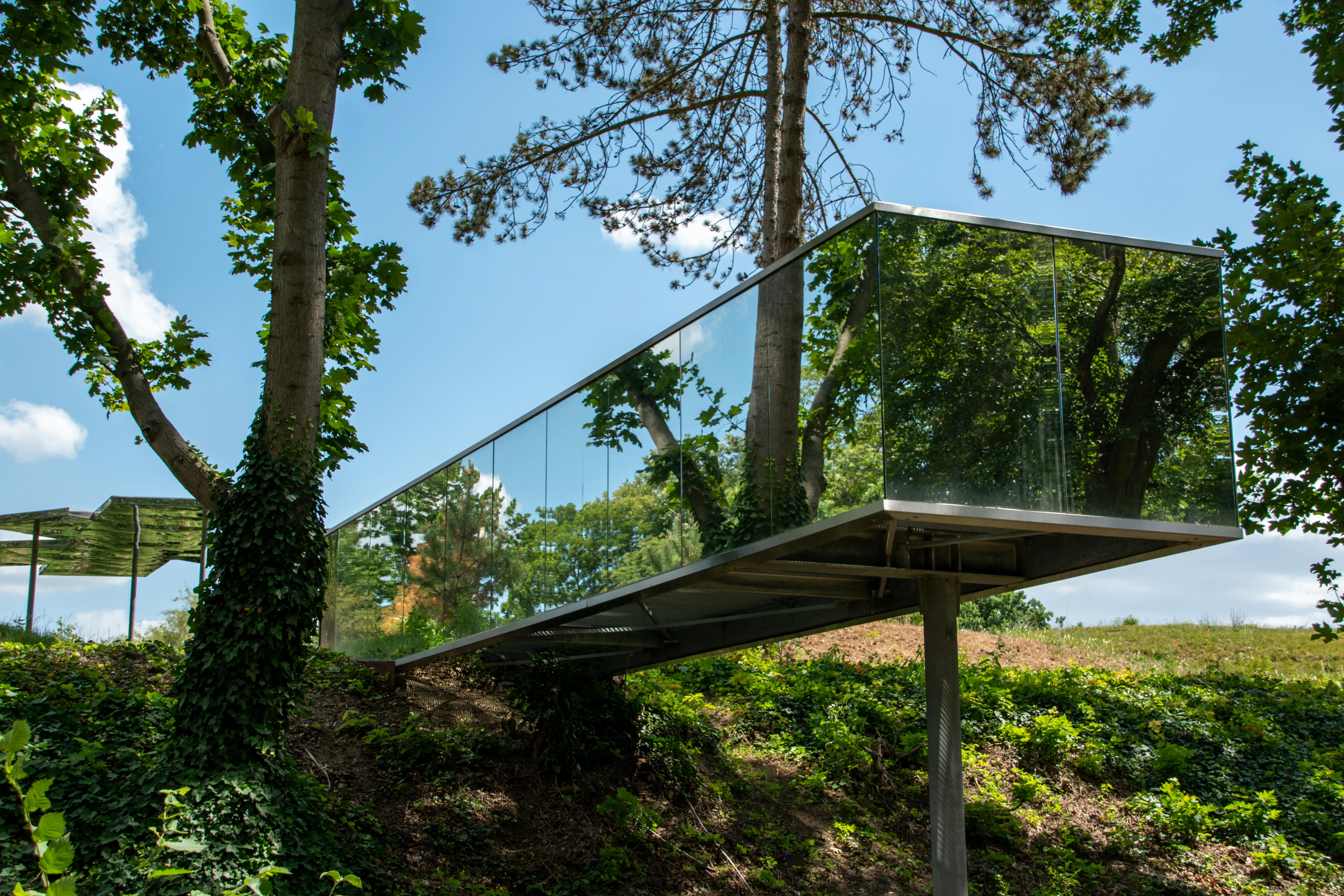 Trees Reflecting in Glass · Free Stock Photo
