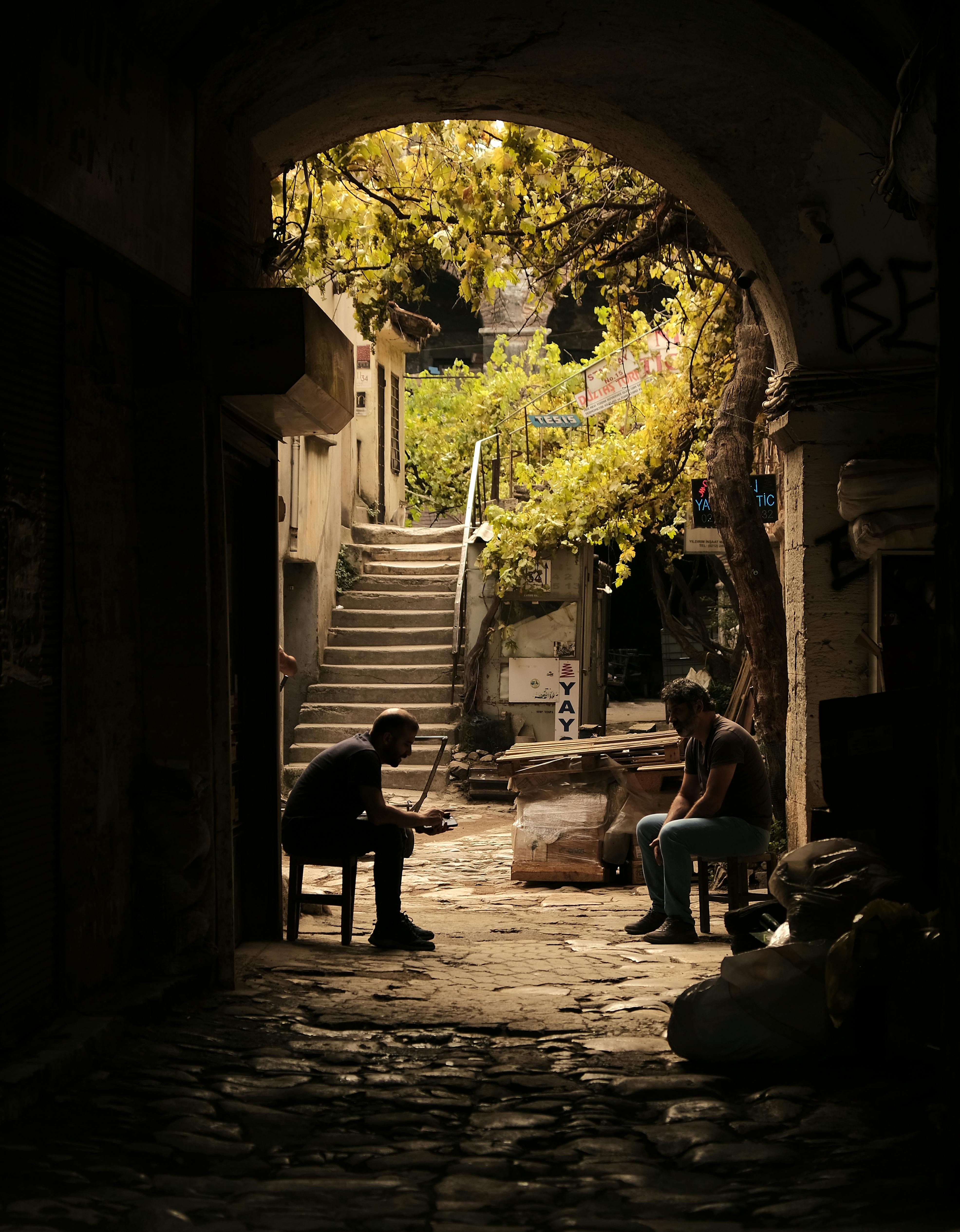 People Sitting on Chair Under Tree · Free Stock Photo