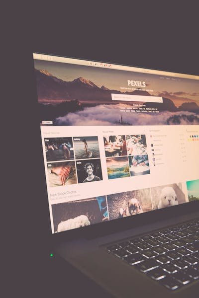 1,218+ Best Free Pexels Stock Photos & Images · 100% Royalty-Free HD ...