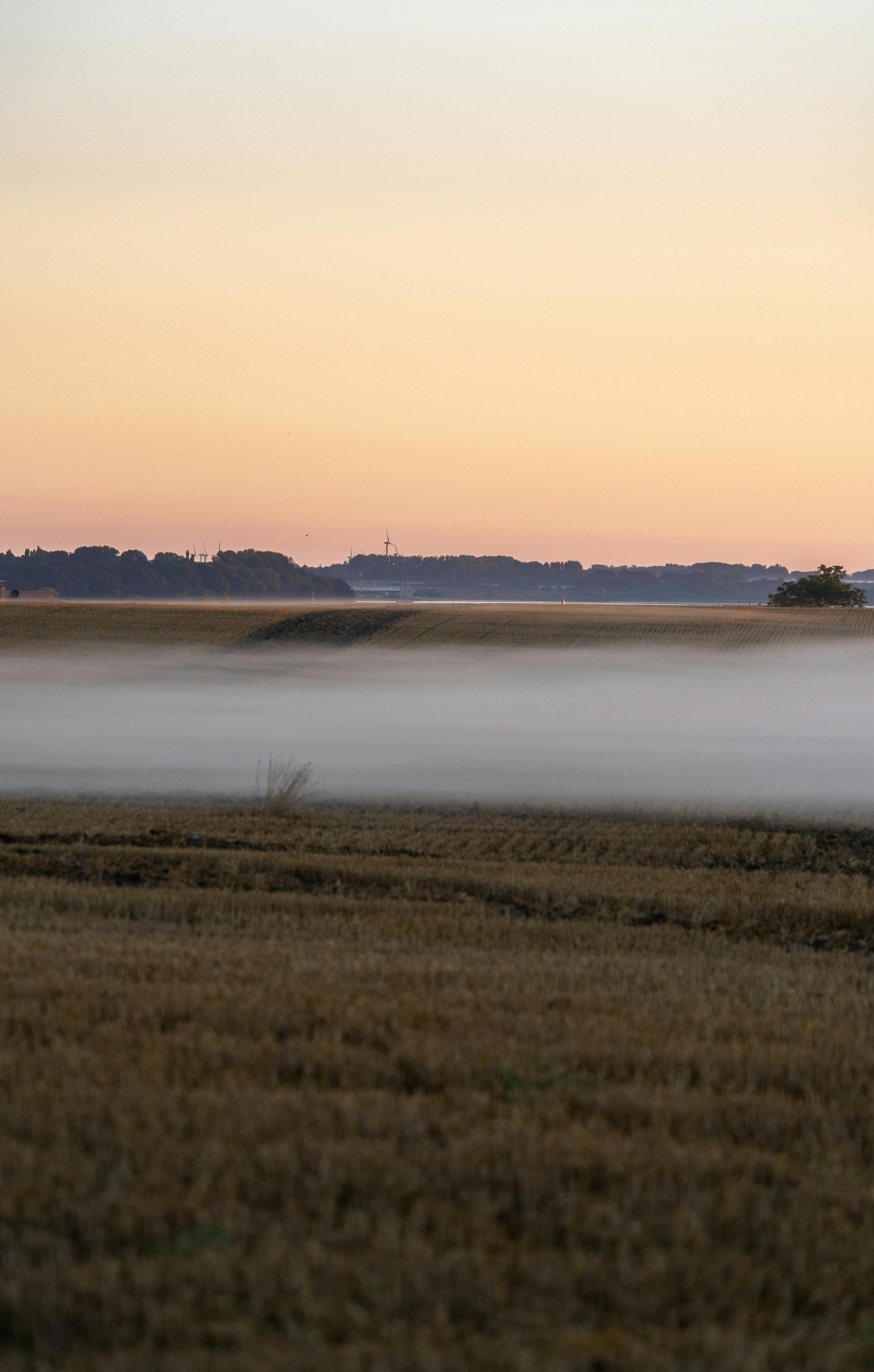 Fog over Field at Dusk · Free Stock Photo
