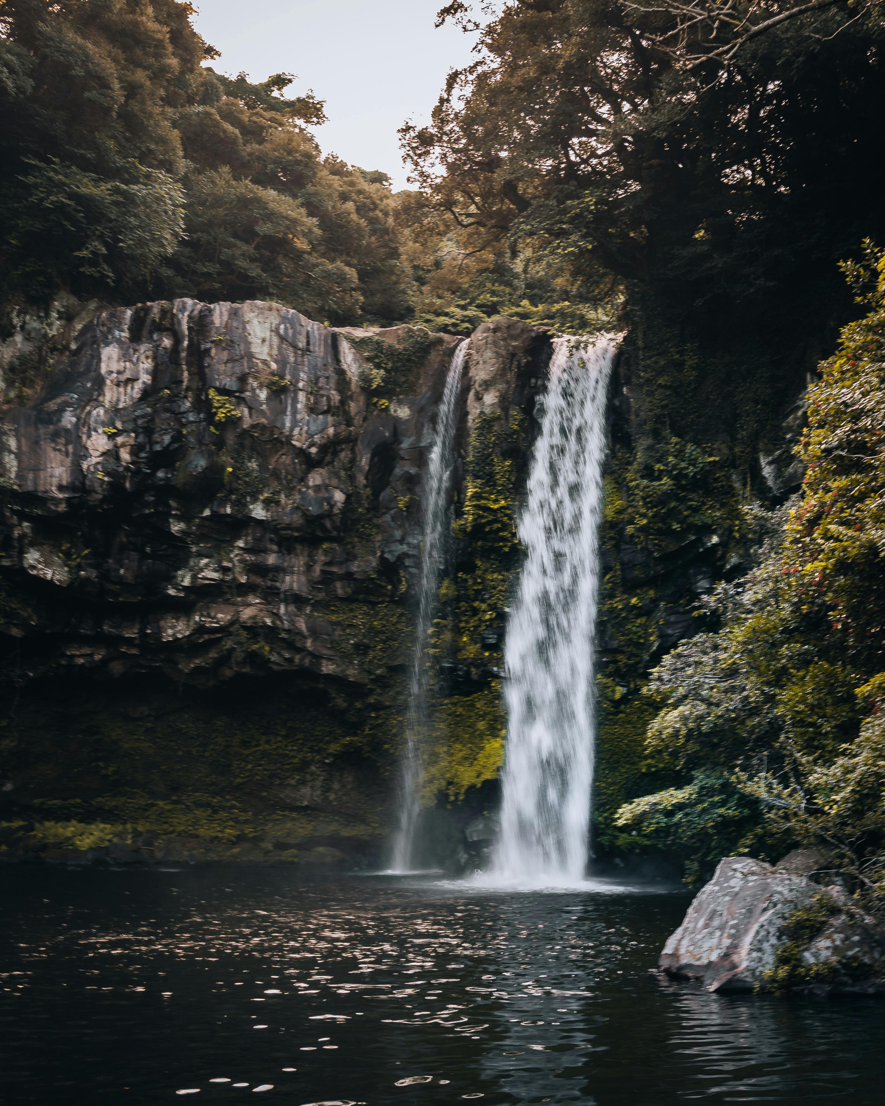 Waterfall in the Middle of the Forest · Free Stock Photo