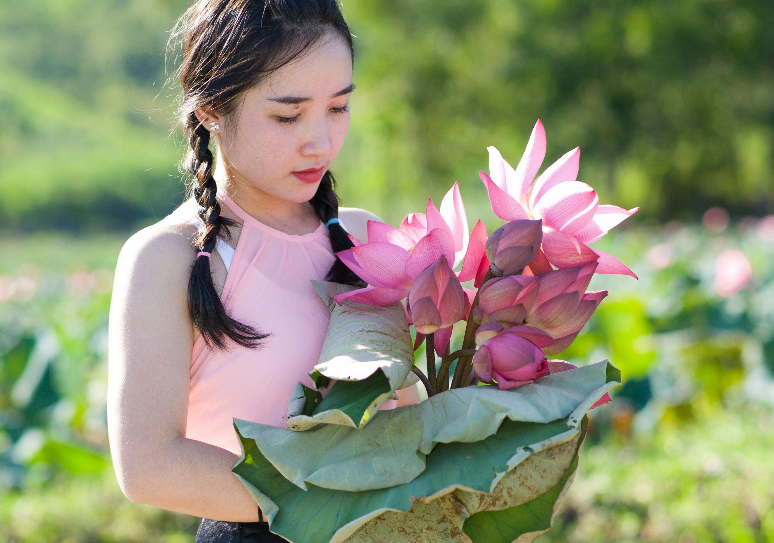 Sen 2022 4 Photos & Videos Collected by Le Anh Tuan