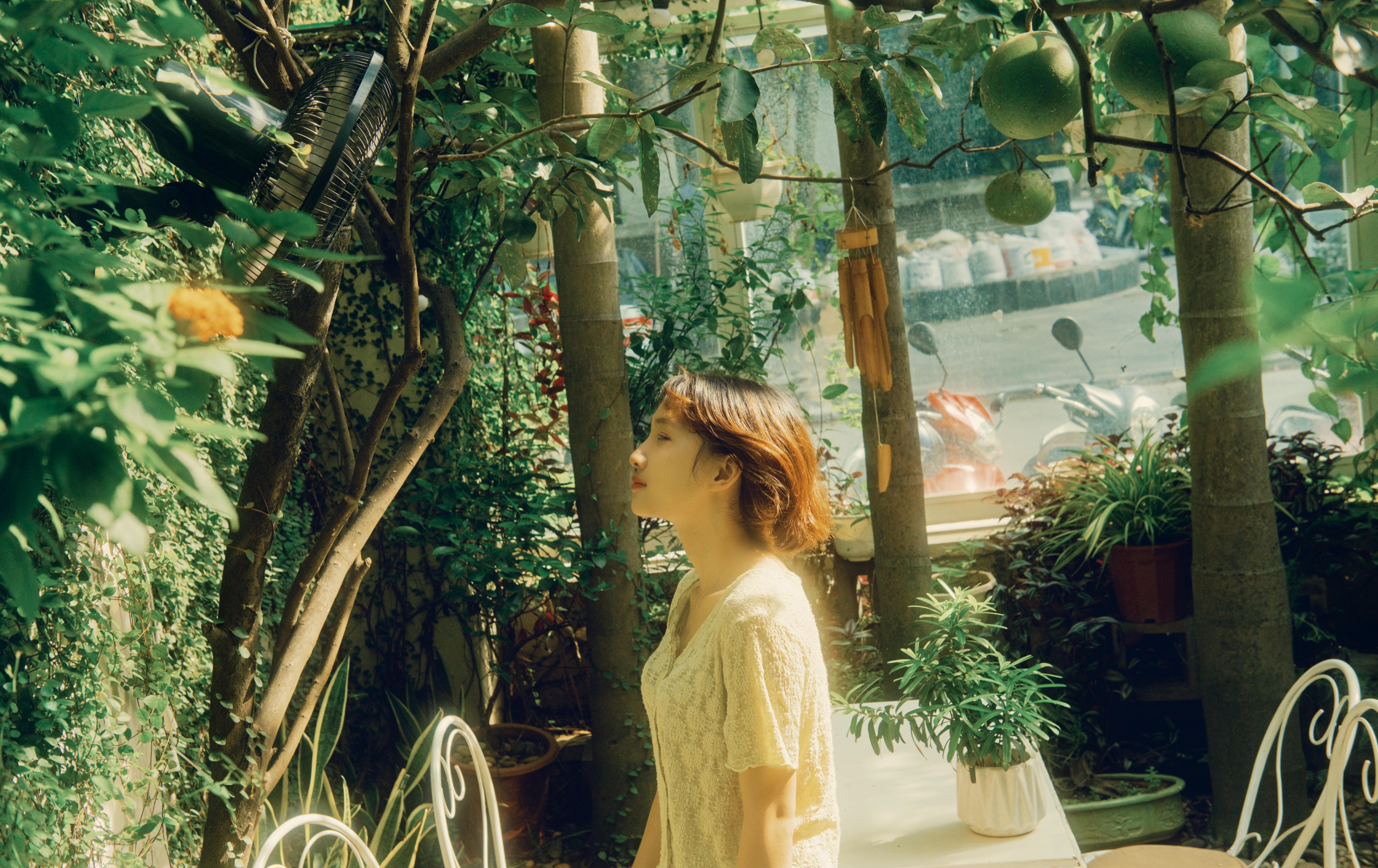 A Woman Standing under the Tree · Free Stock Photo