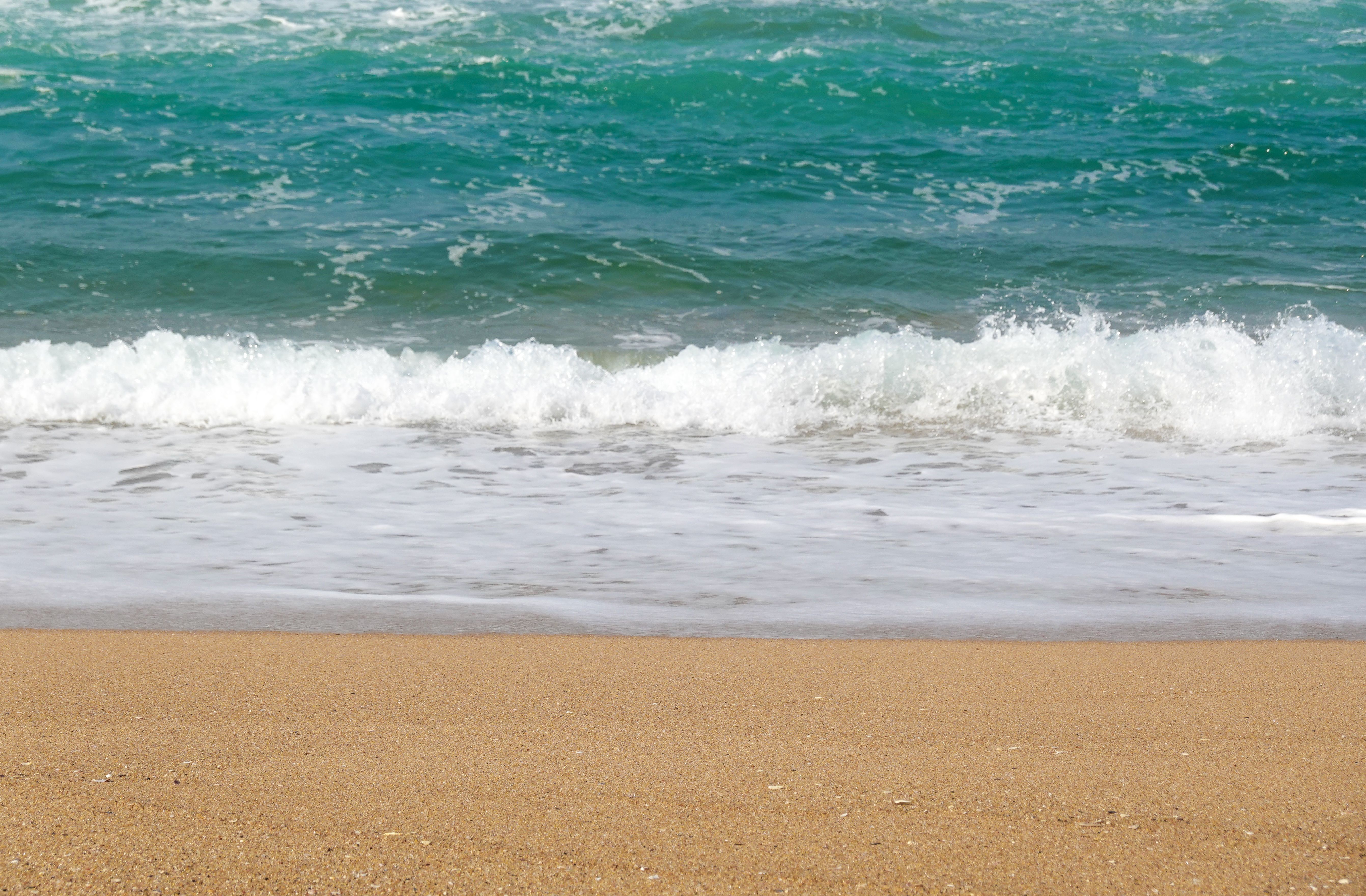 Water Crashing on the Shore · Free Stock Photo