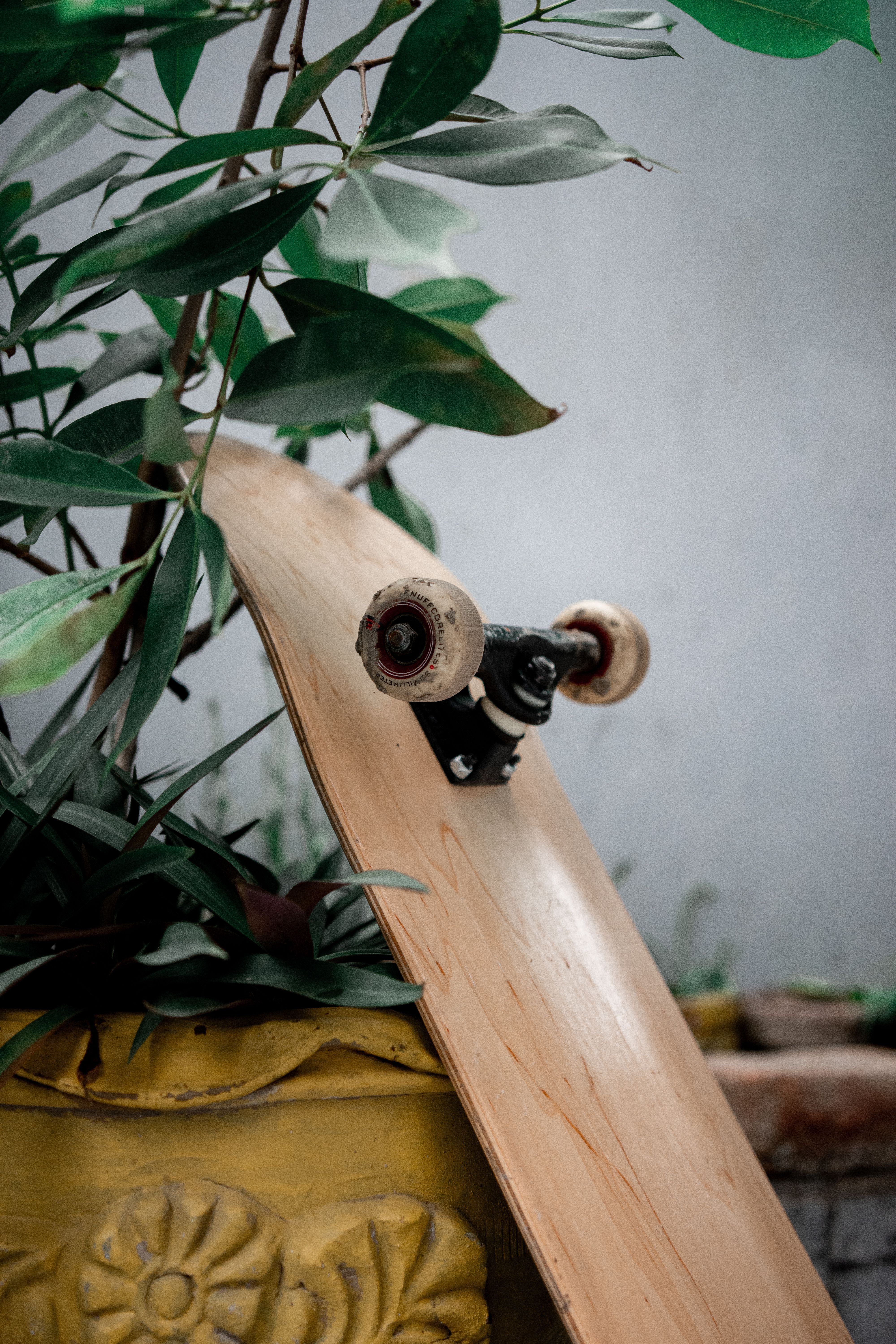 Photo of a Brown Skateboard Near Plants · Free Stock Photo