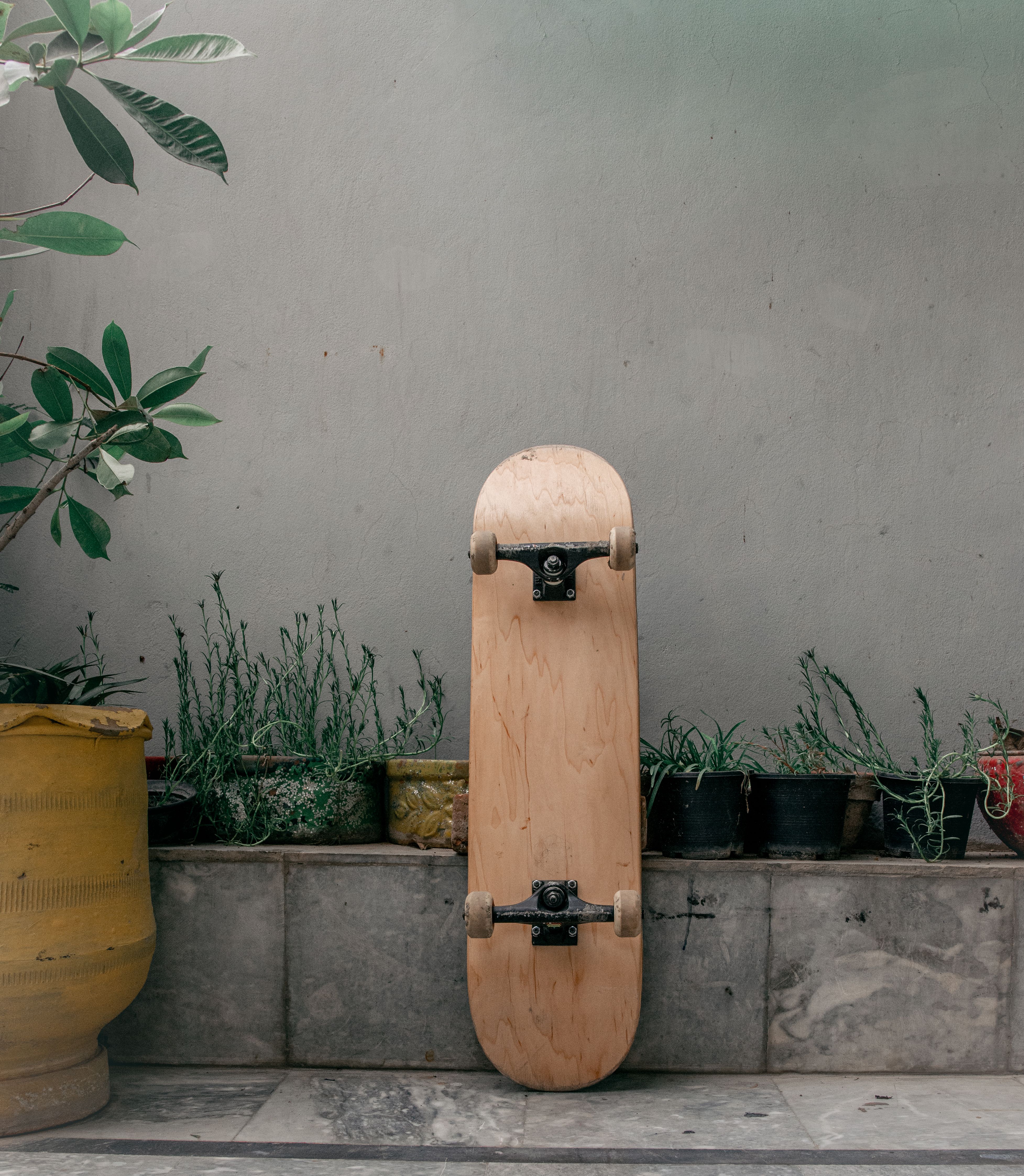 Photo of a Brown Skateboard Near Plants · Free Stock Photo