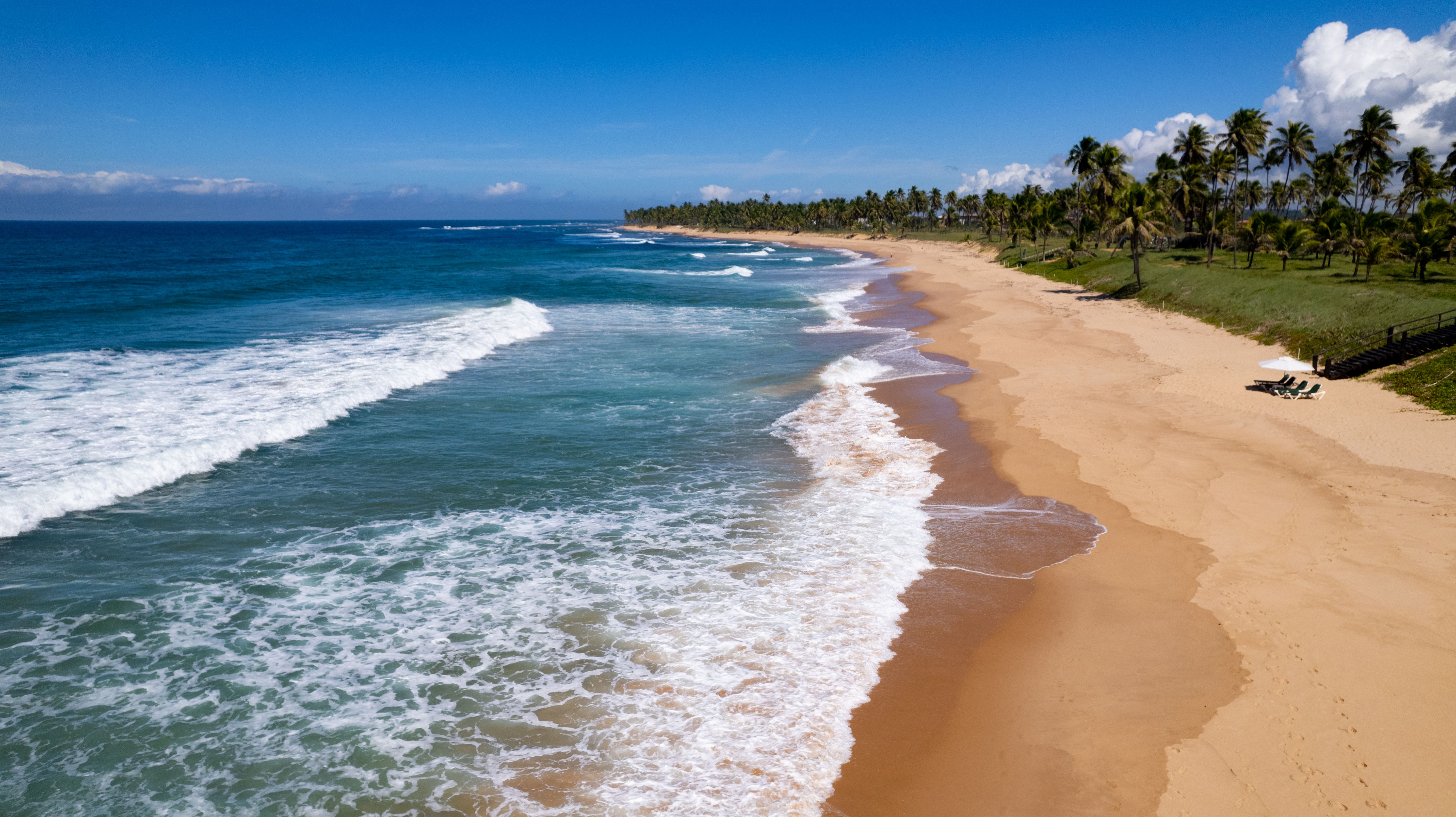 Ocean Waves Crashing on Seashore · Free Stock Photo
