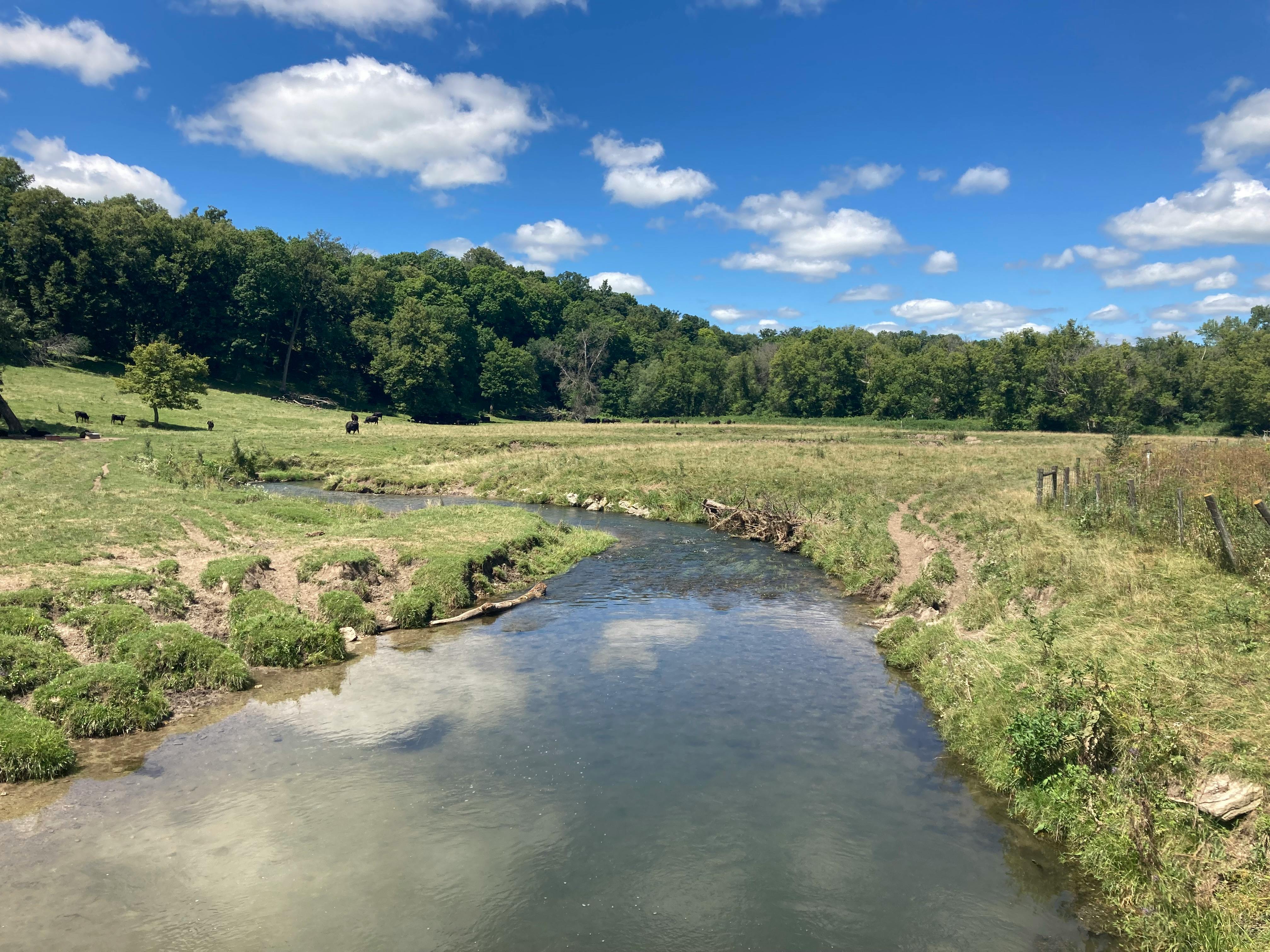 A River on Green Grass Field · Free Stock Photo
