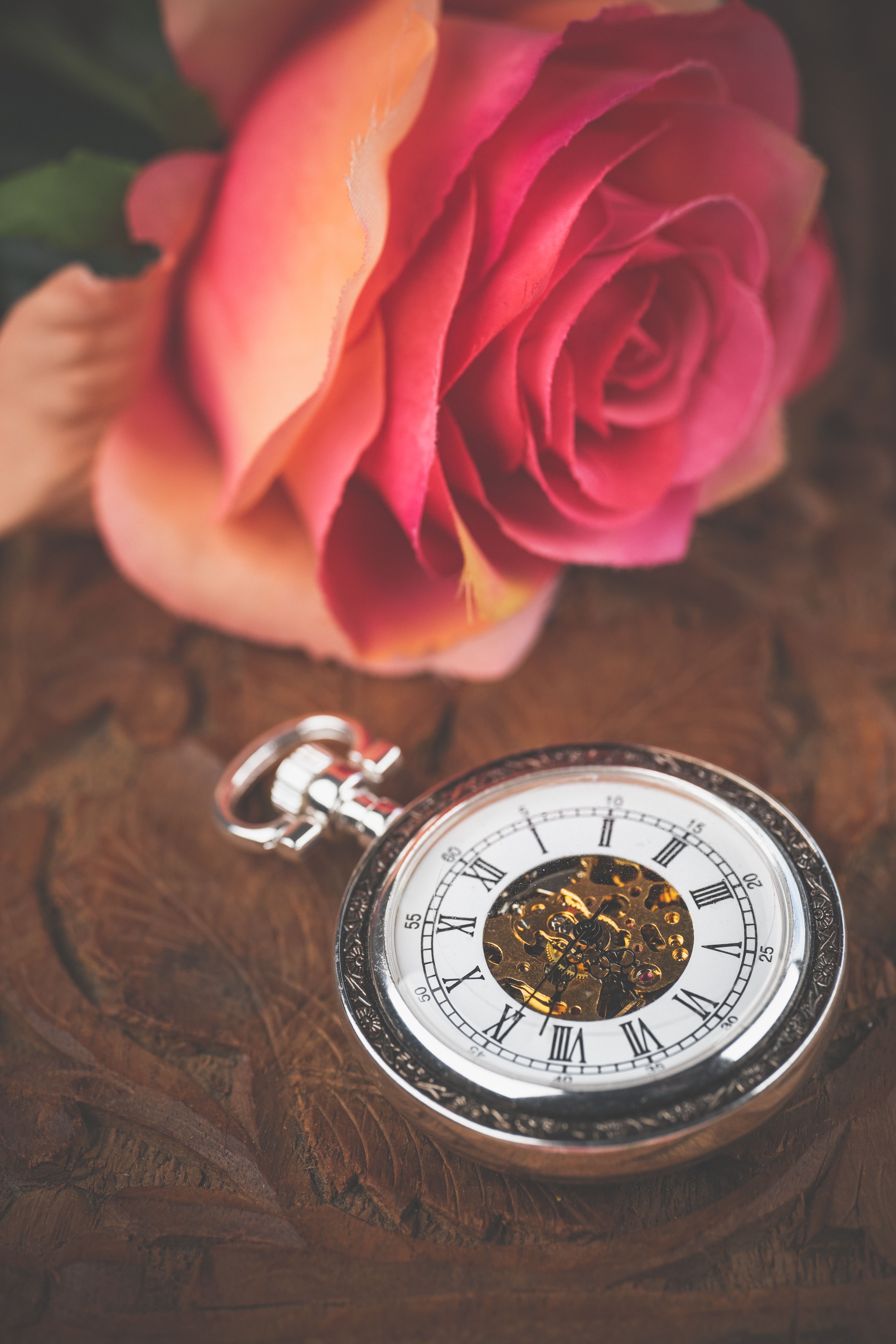 A Vintage Pocket Watch · Free Stock Photo