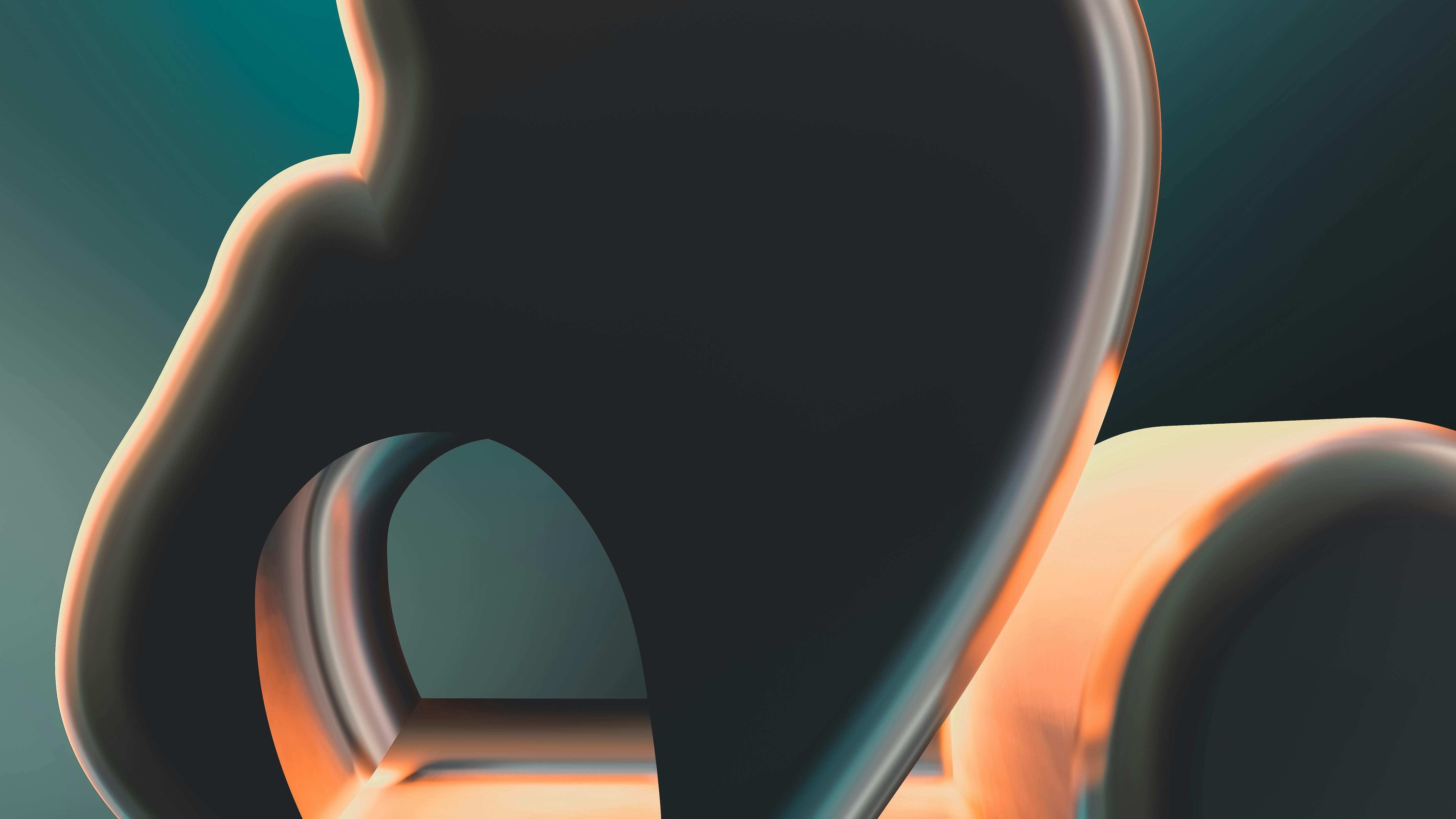 Steve Johnson - 摄影