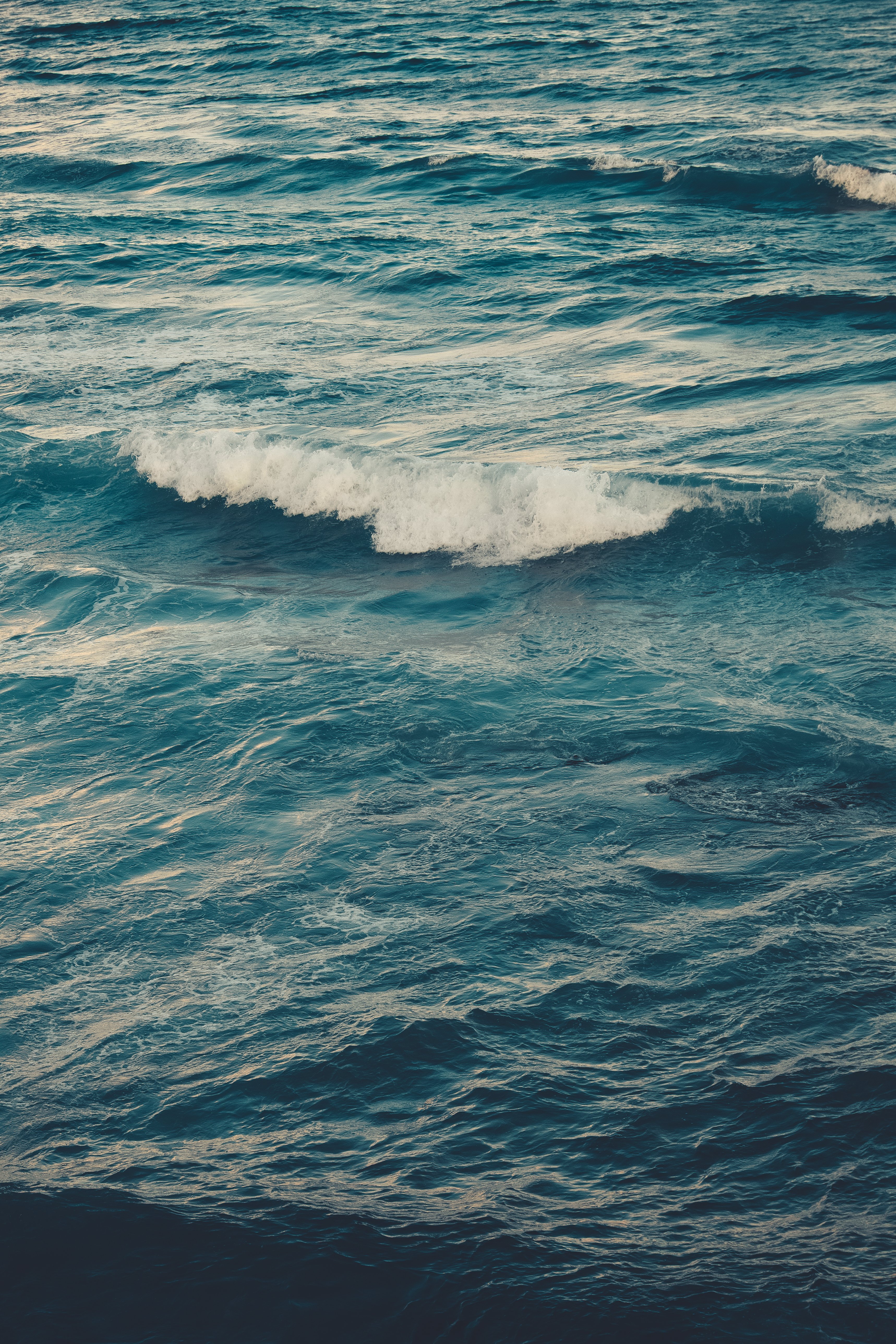 Ocean Waves · Free Stock Photo