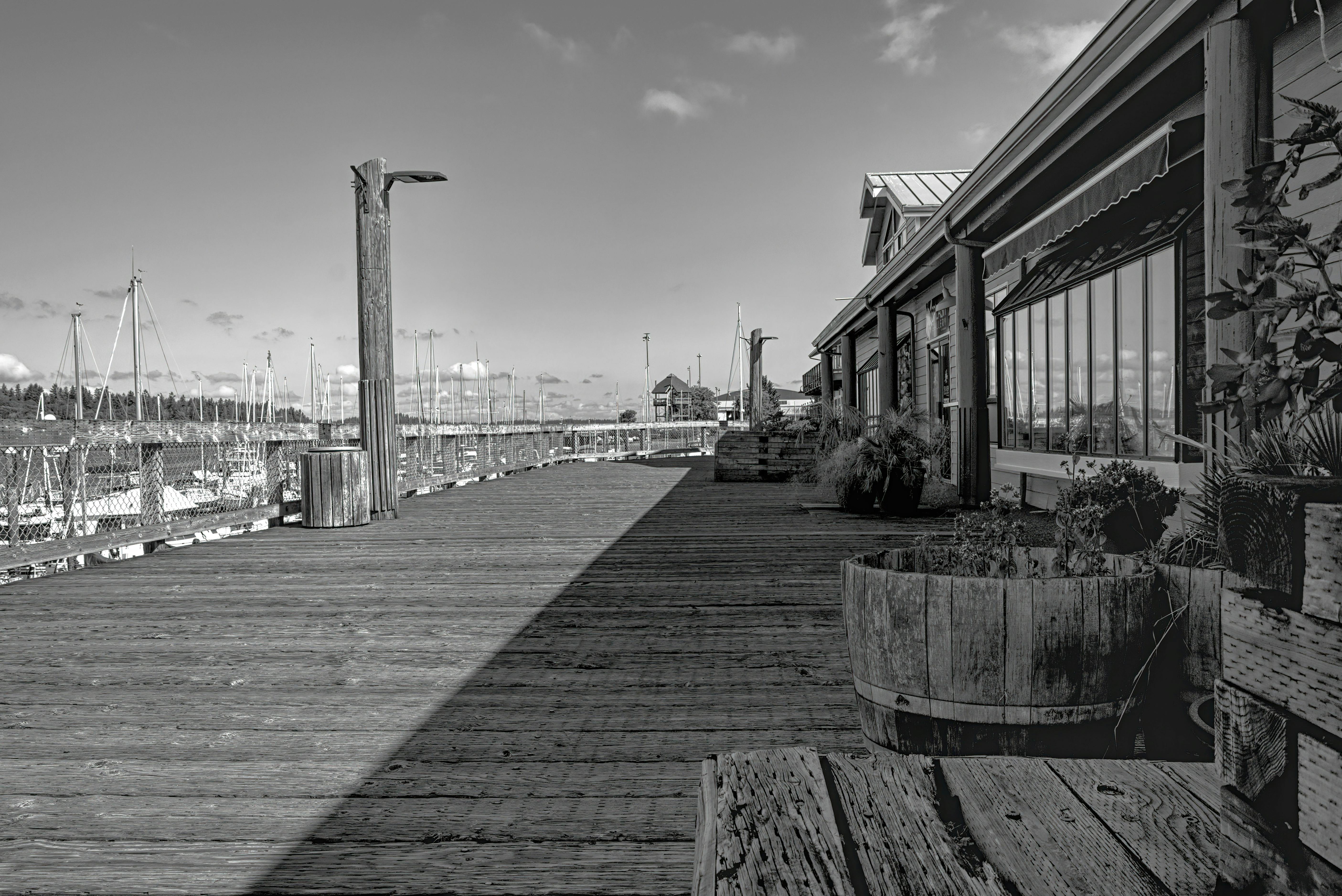 Grayscale Photo of a Boardwalk · Free Stock Photo