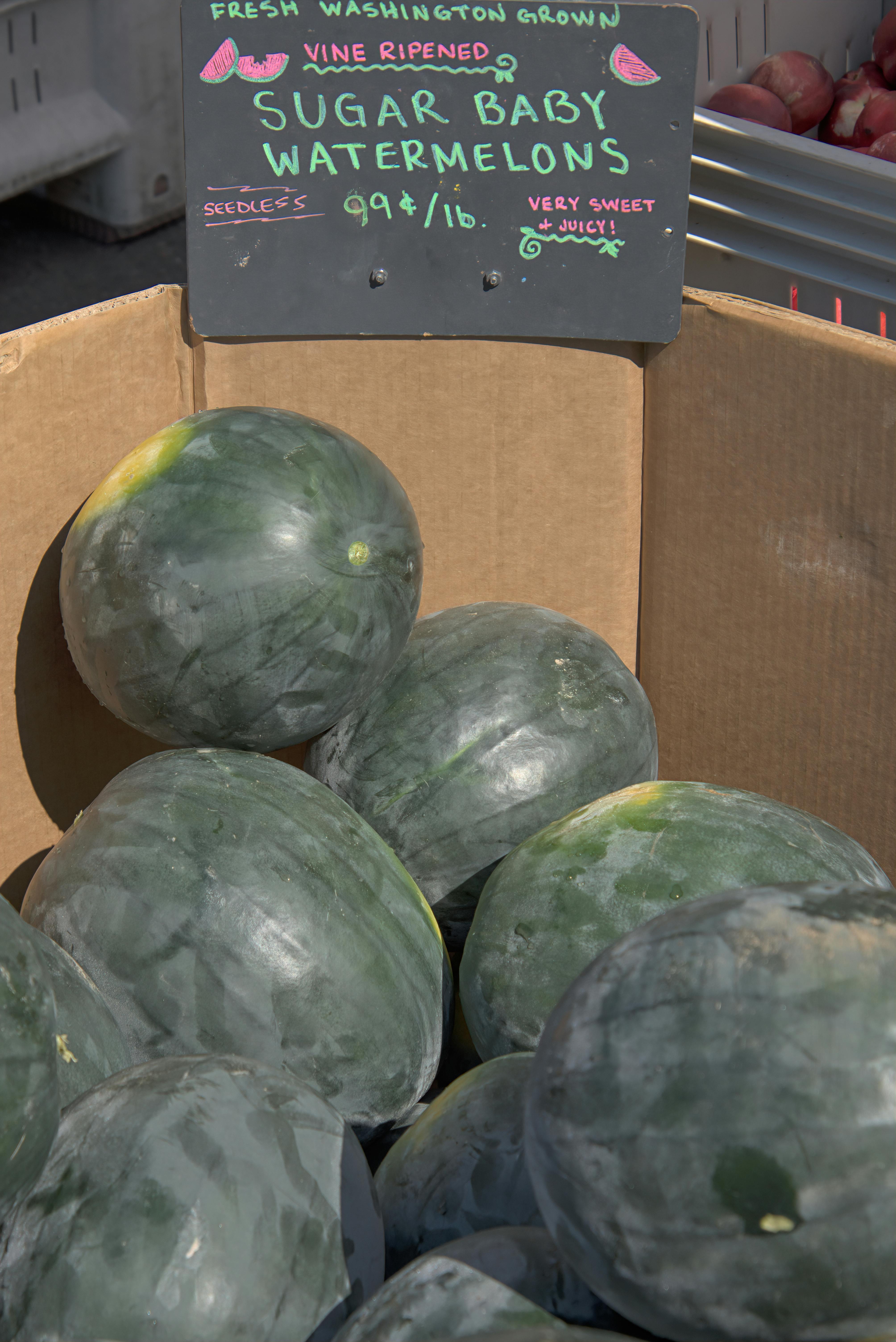 Newly Harvest Watermelons in a Cardboard Box · Free Stock Photo