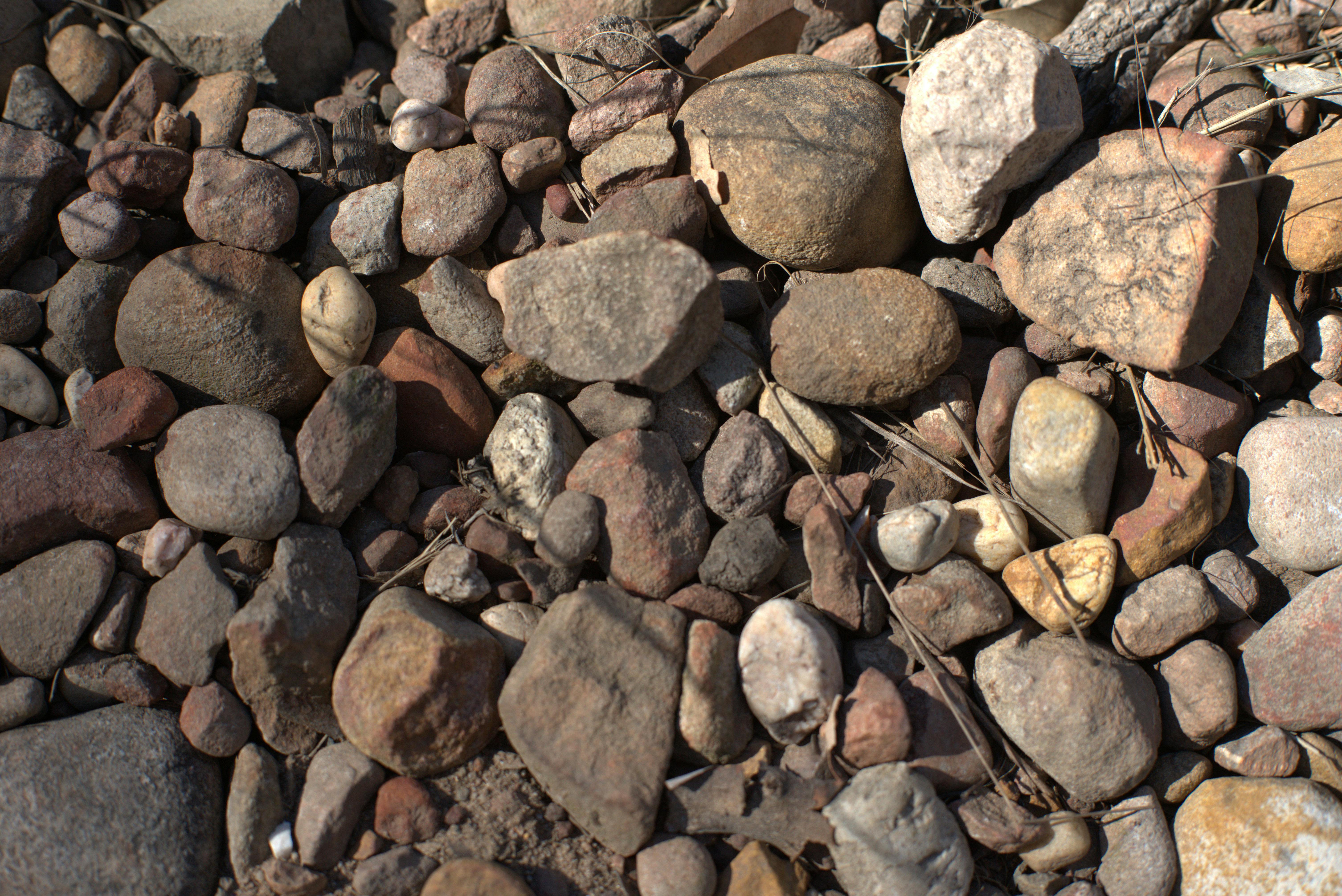 Free stock photo of gravel, pebbel, rock