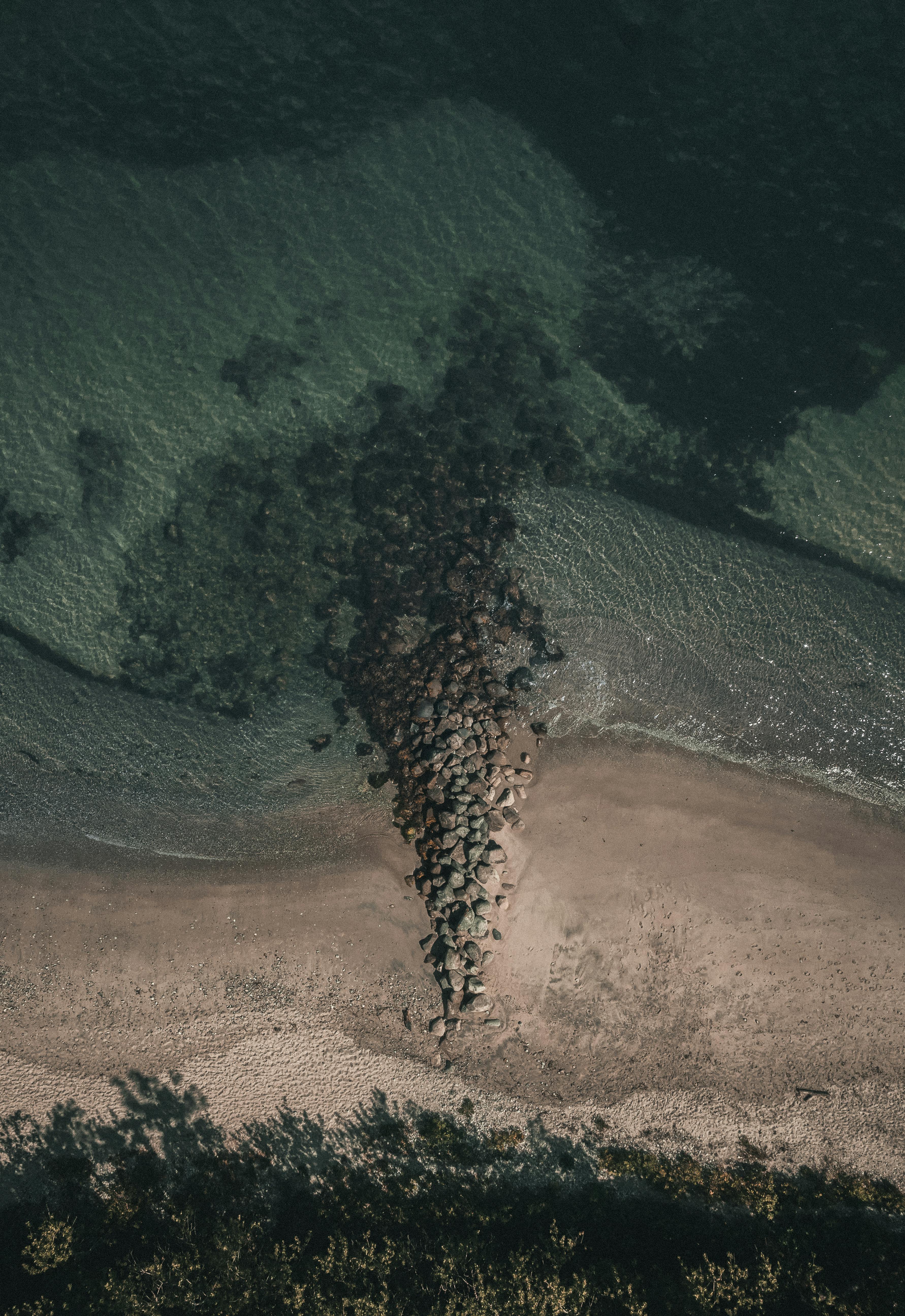 Top View of Sea Shore · Free Stock Photo