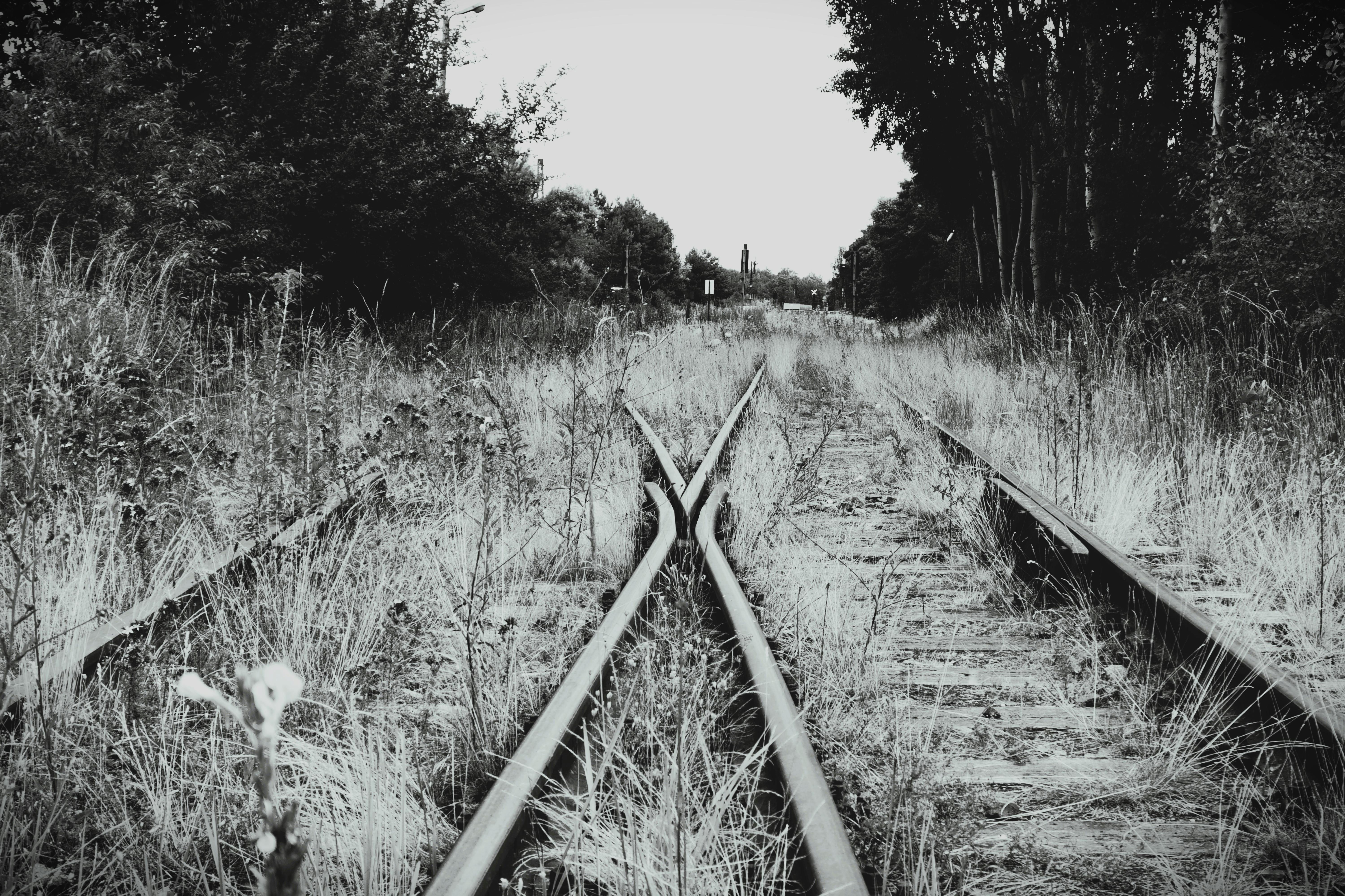 Face Left To Right Photos, Download The BEST Free Face Left To Right ...