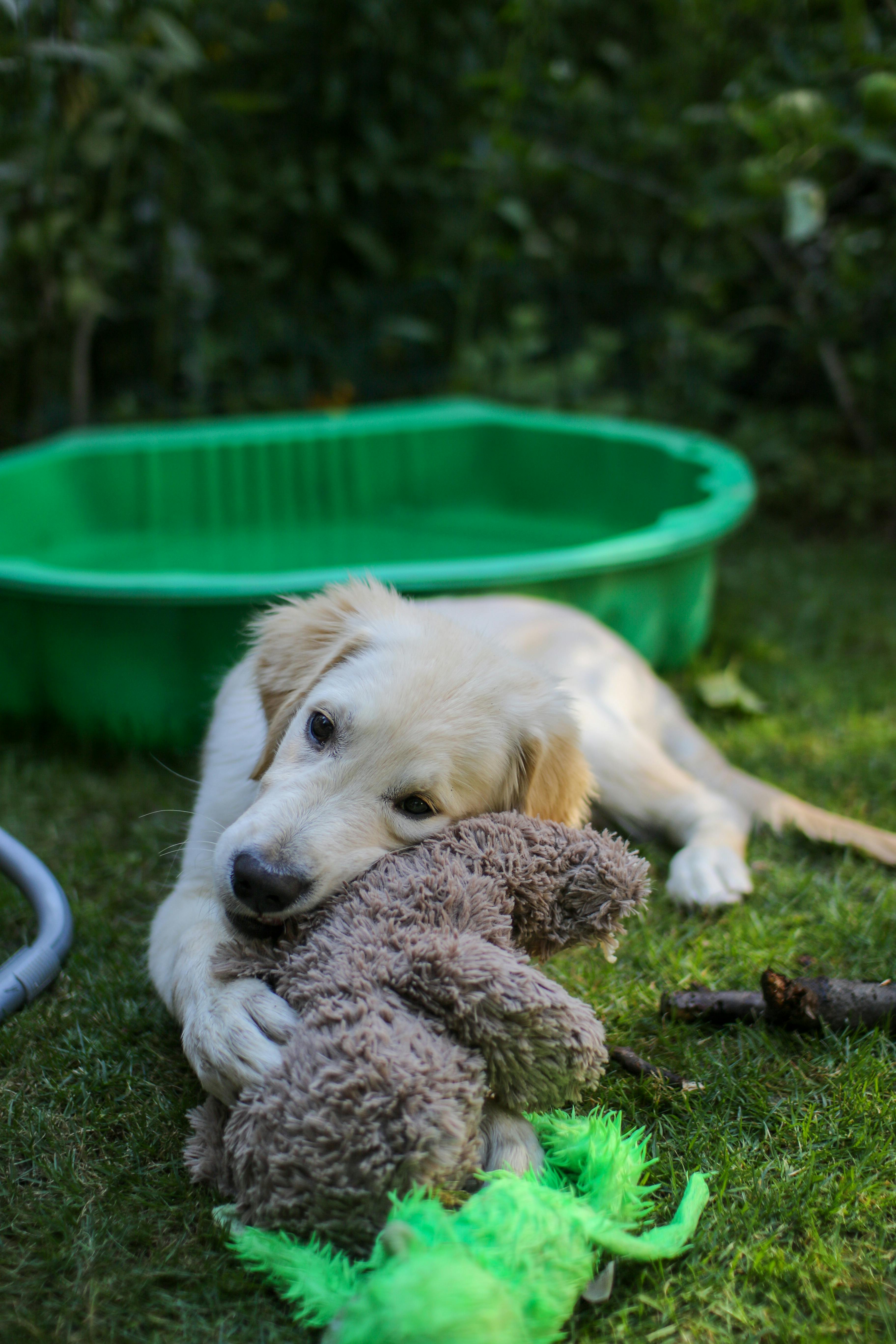 Graden Photos, Download The BEST Free Graden Stock Photos & HD Images