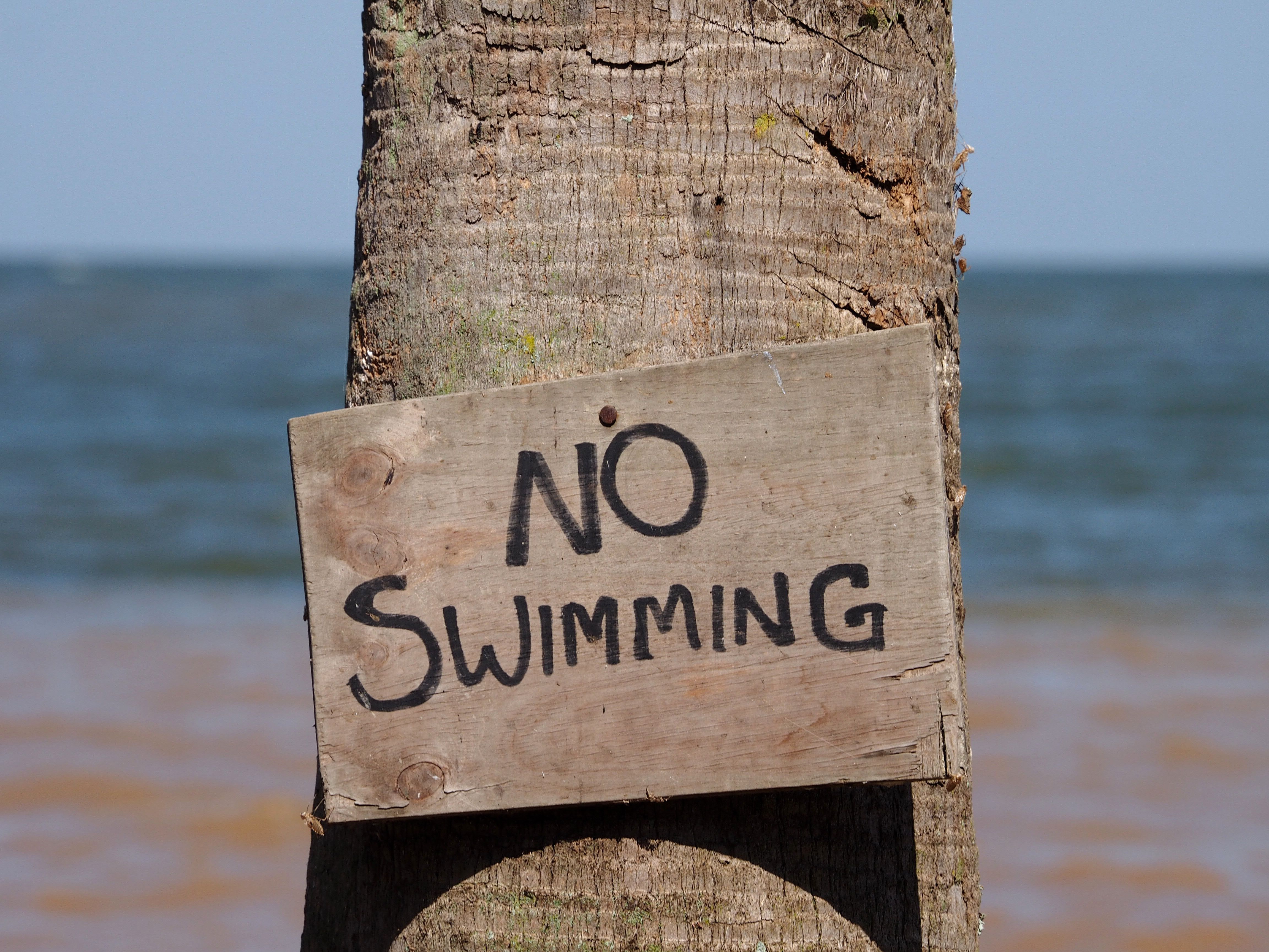 Yellow Street Signage · Free Stock Photo