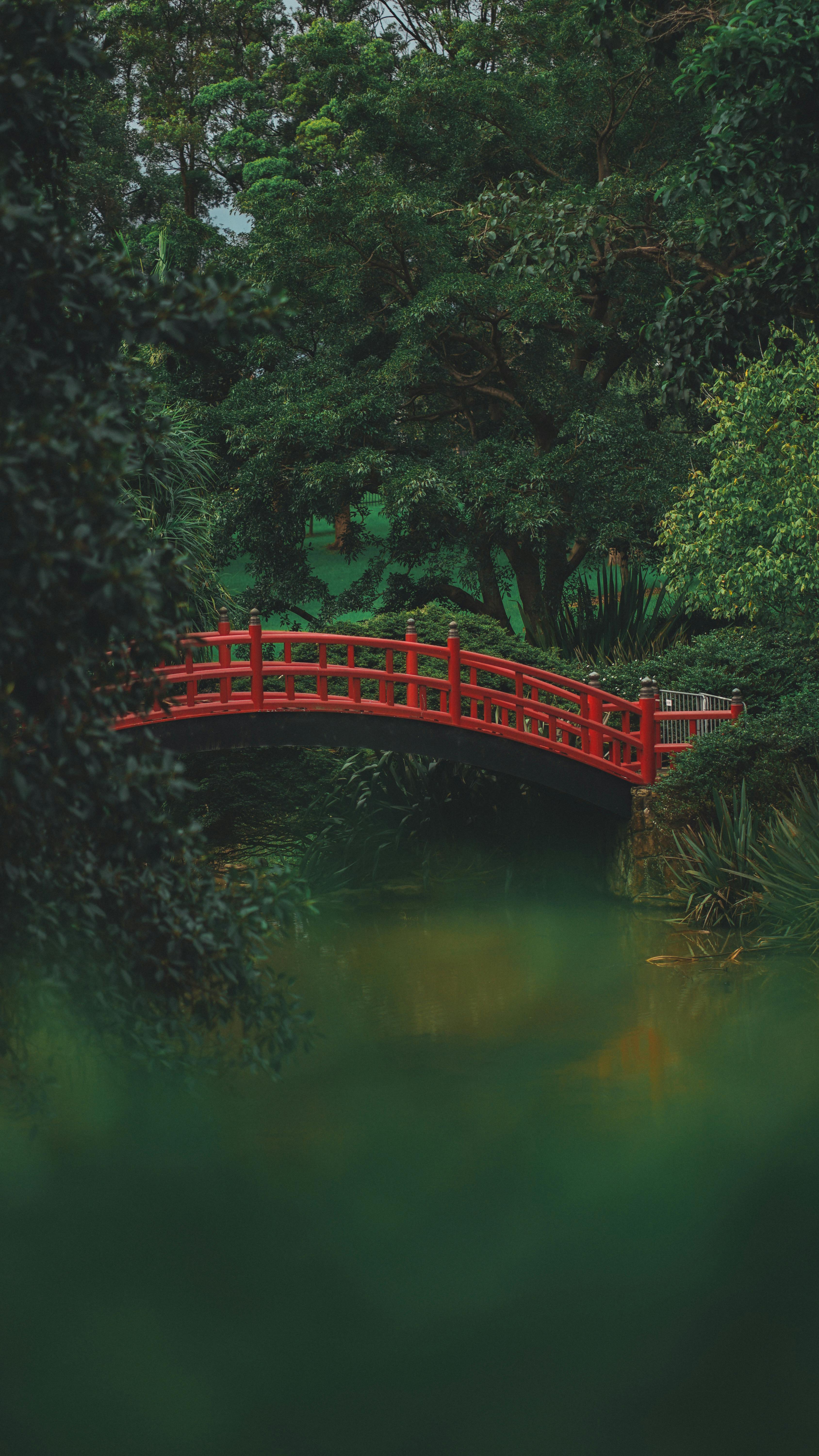 A Red Bridge Near the Green Trees · Free Stock Photo