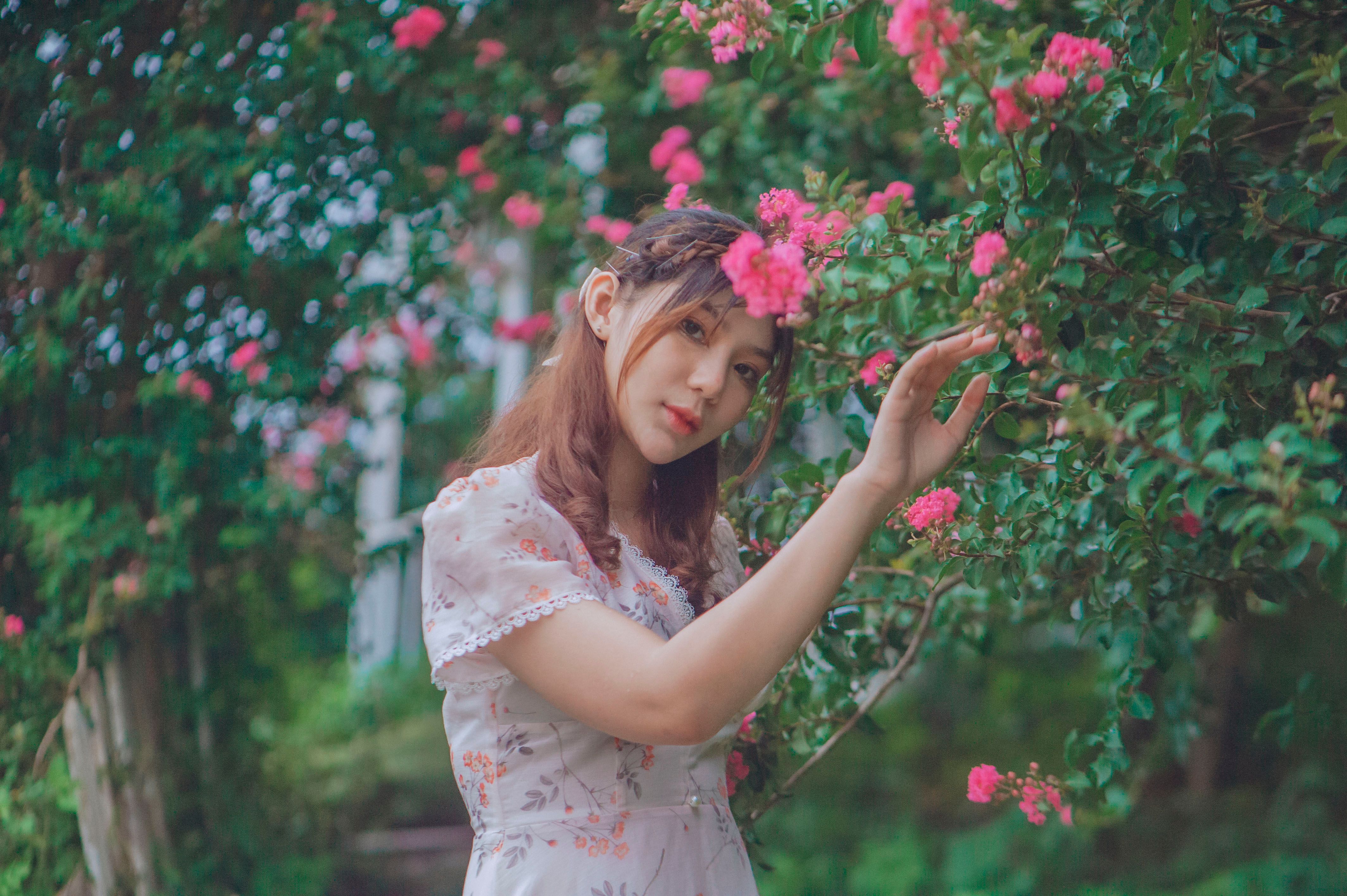 Woman Behind Pink Flowers · Free Stock Photo