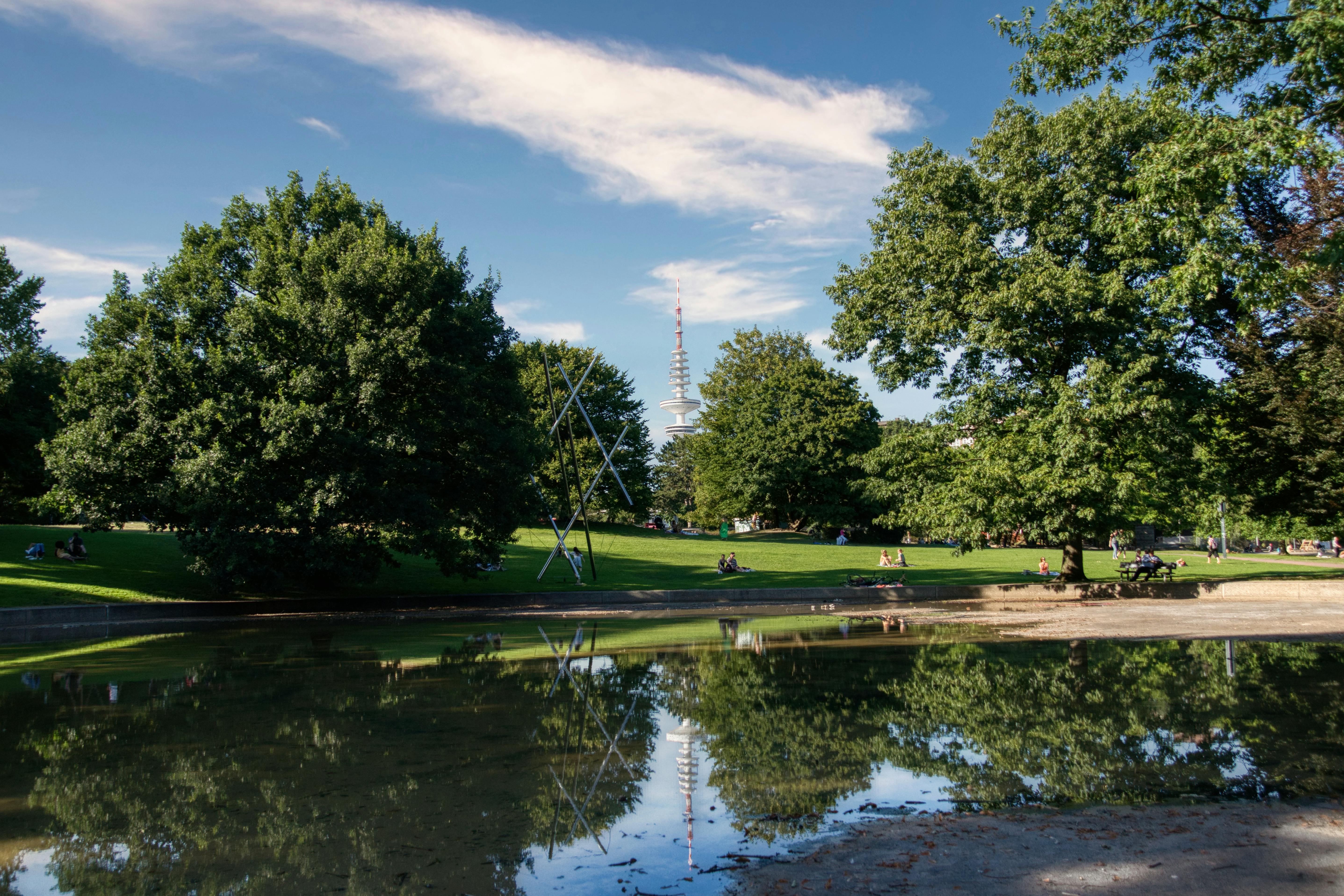 People Enjoying Sunny Day at the Park · Free Stock Photo