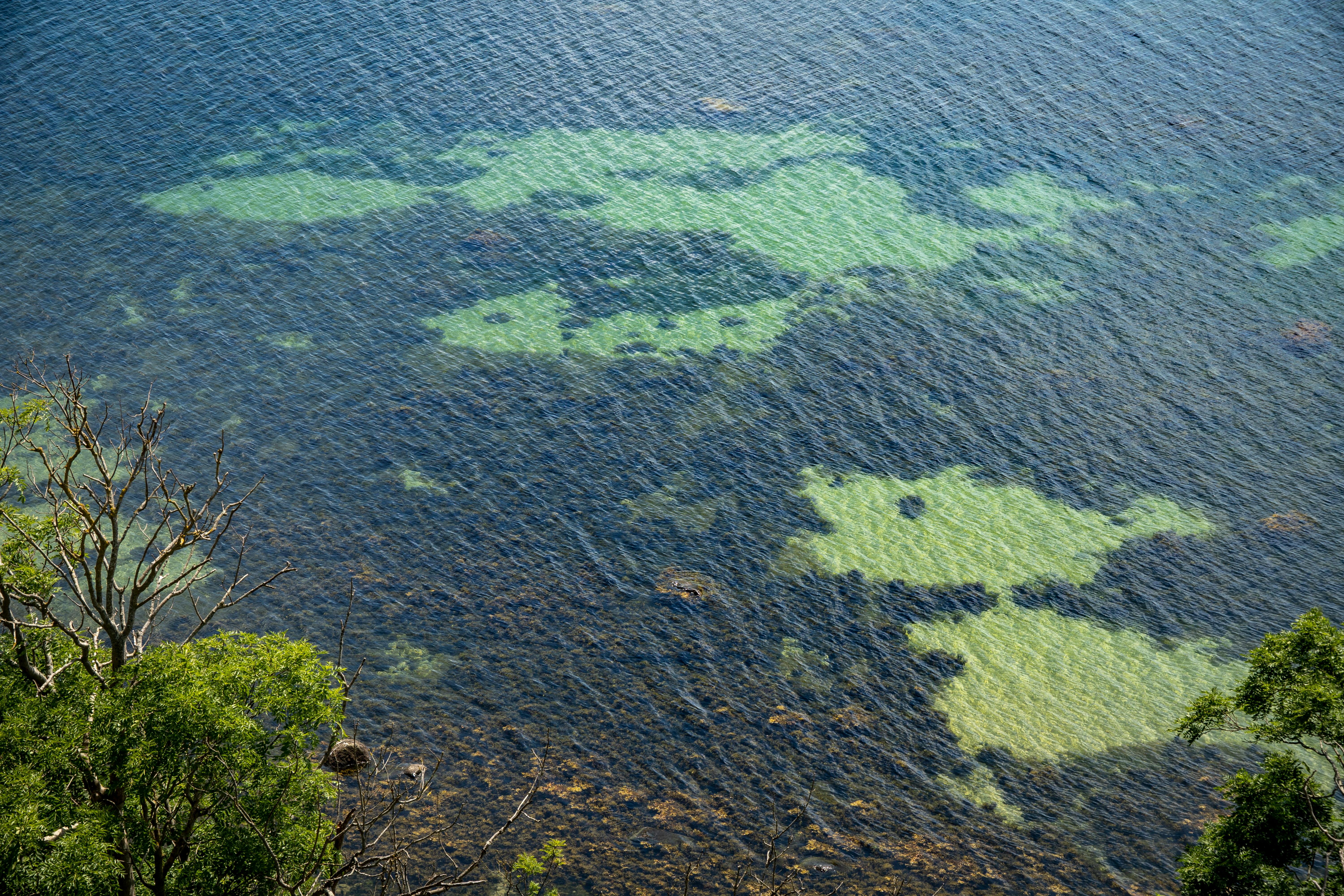 Aerial Shot Of Ocean · Free Stock Photo