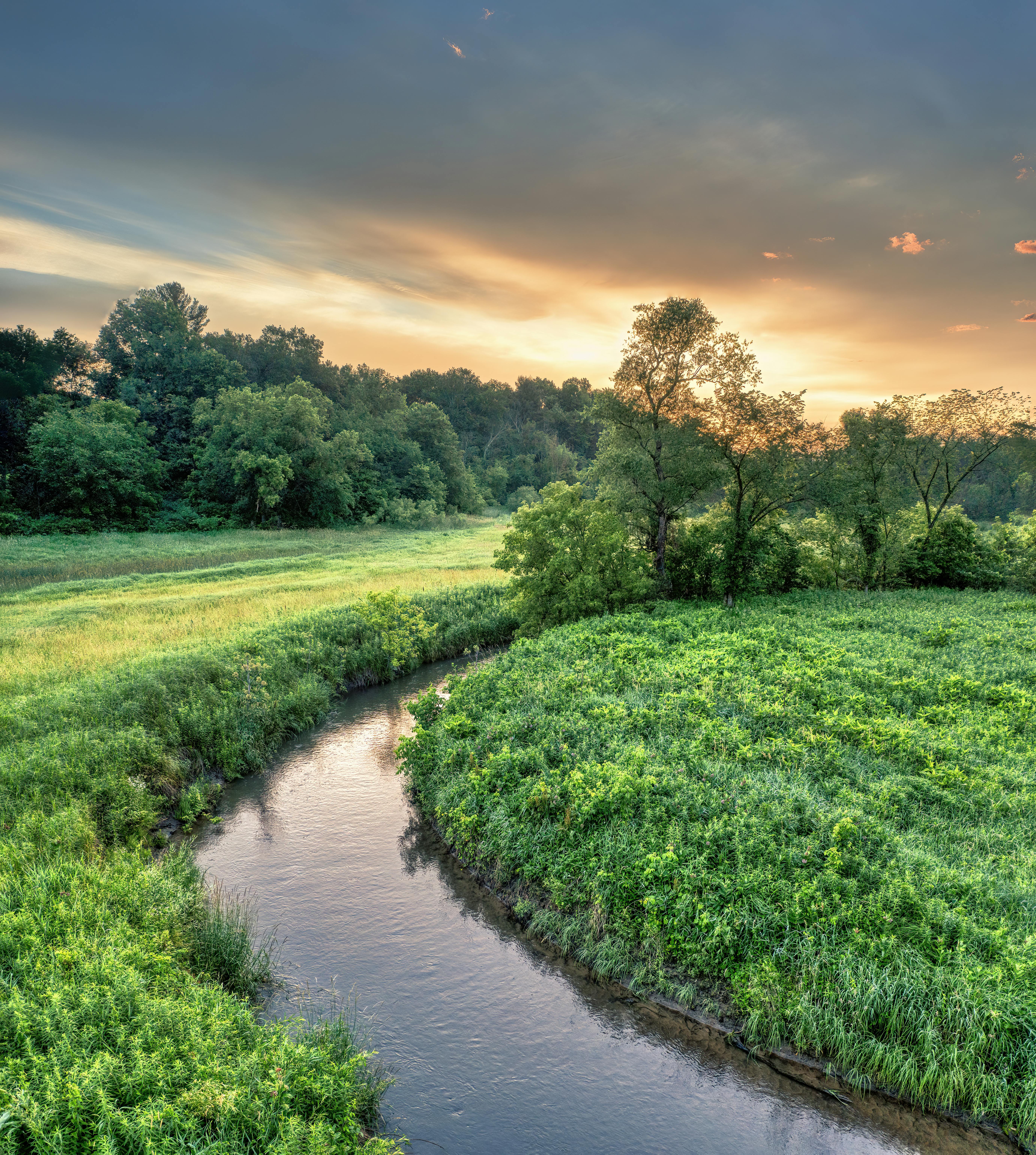 Green Grass Field and Trees Near River · Free Stock Photo