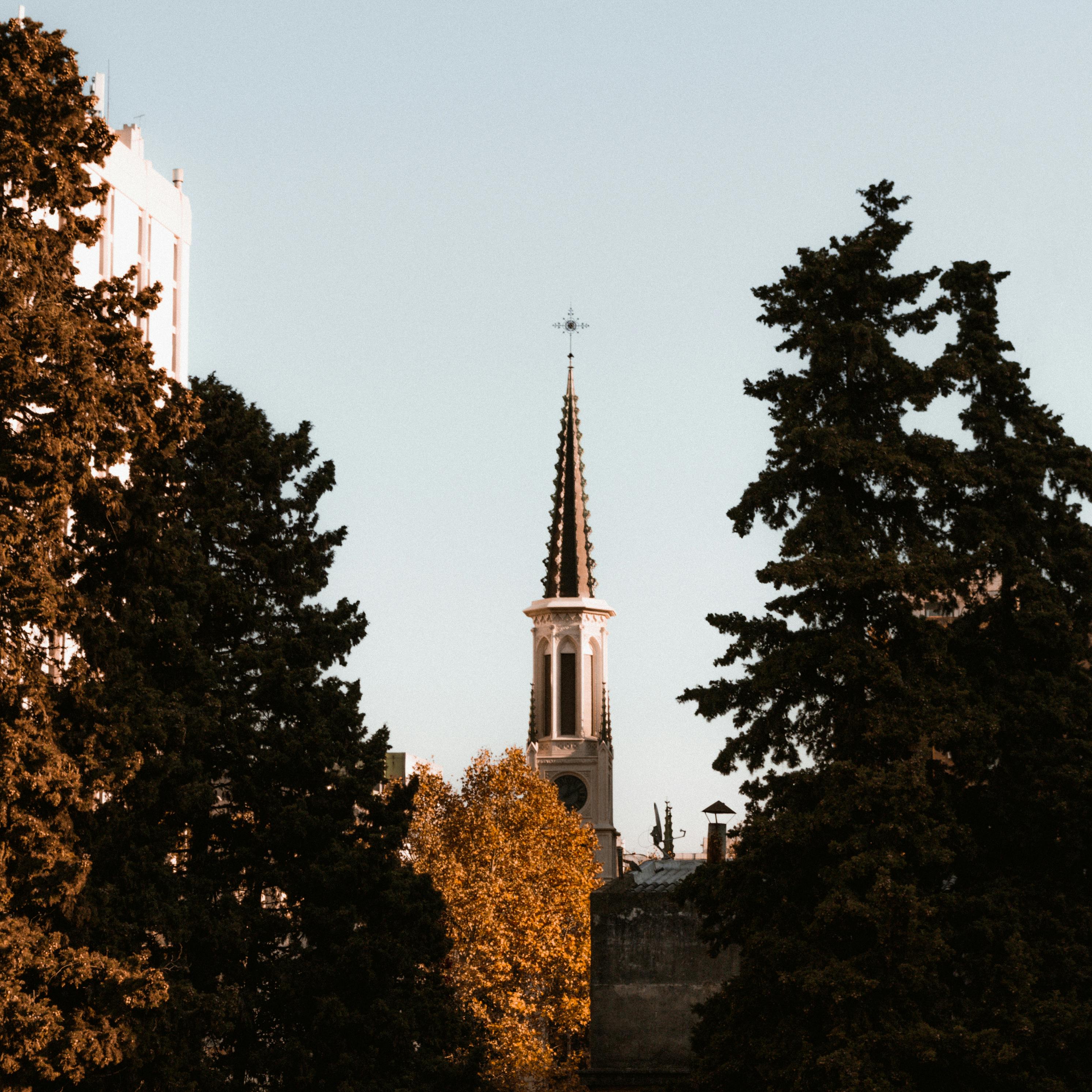 Square Format Photos, Download The BEST Free Square Format Stock Photos ...