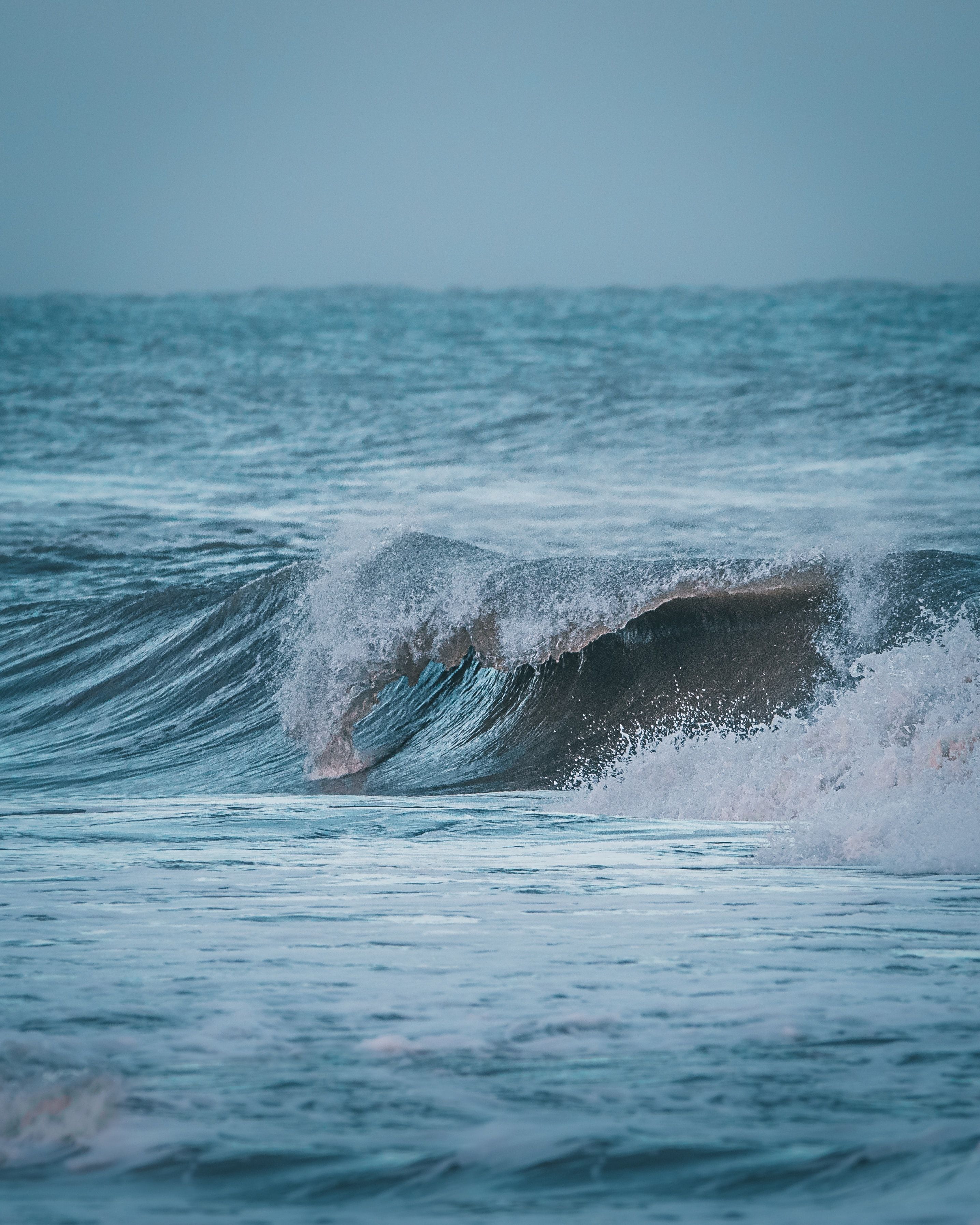 Close-Up of an Ocean Wave · Free Stock Photo