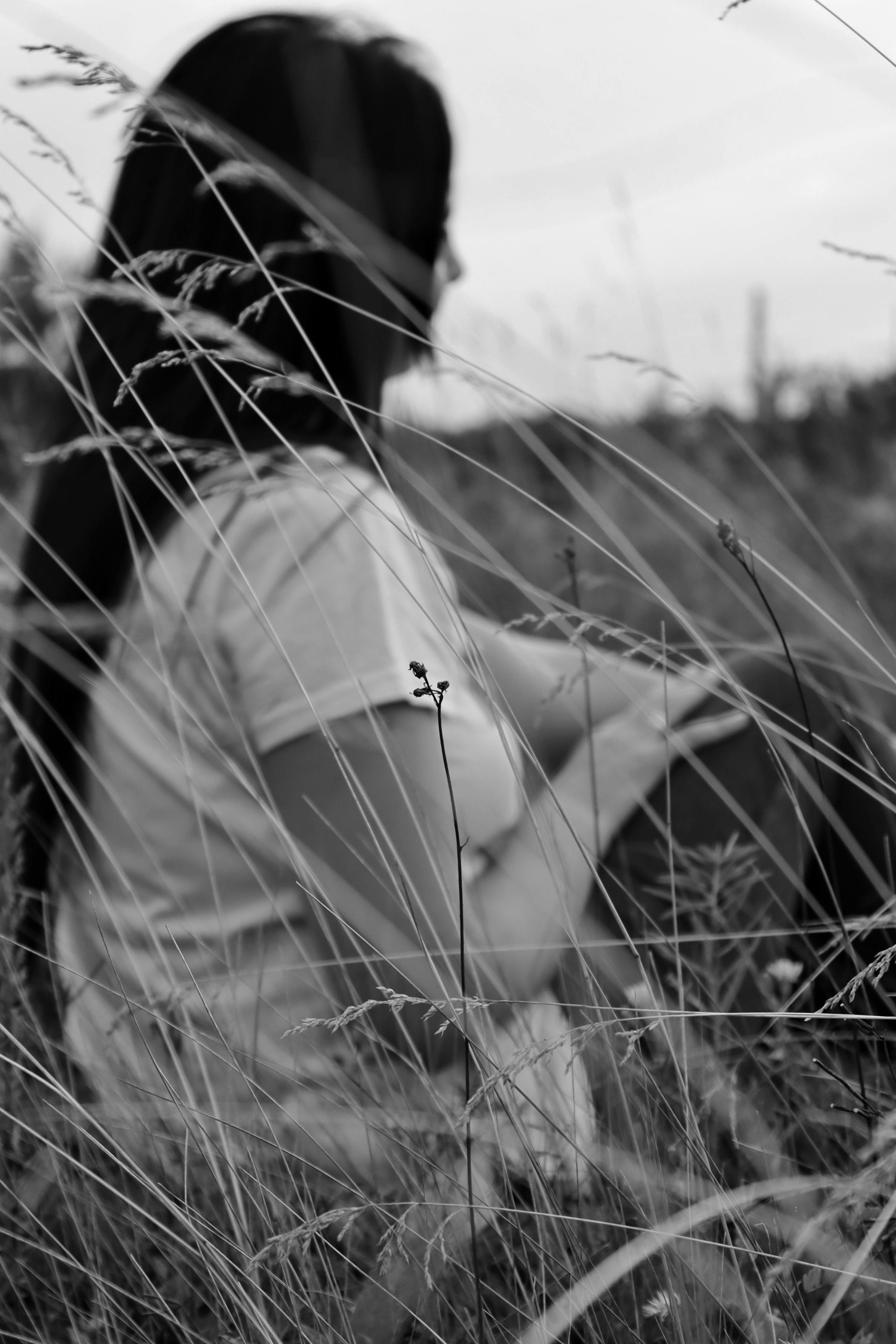 Silhouette of a Female Figure · Free Stock Photo