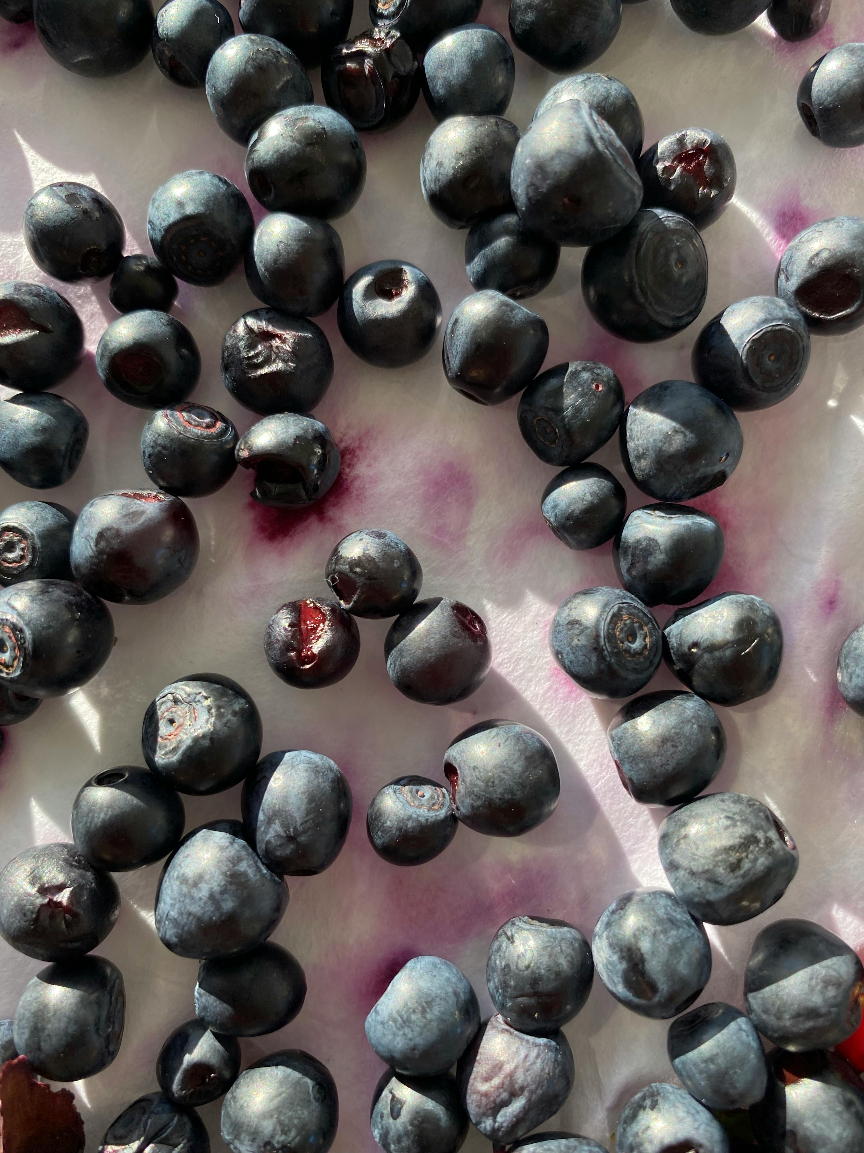 Full Shot of Blueberries Lined up in Neat Rows · Free Stock Photo