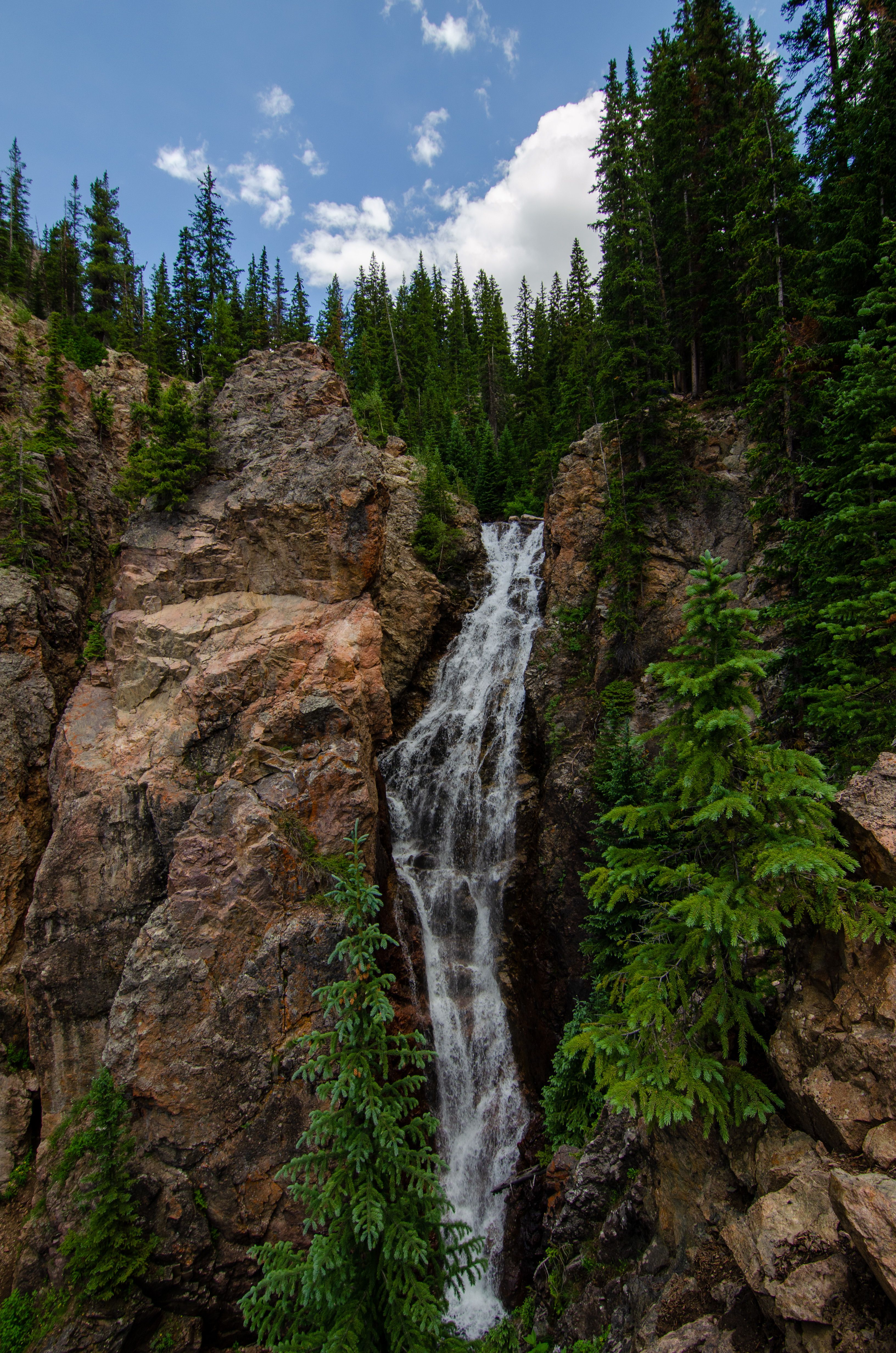 Waterfalls in the Middle of Forest Near Pine Trees · Free Stock Photo