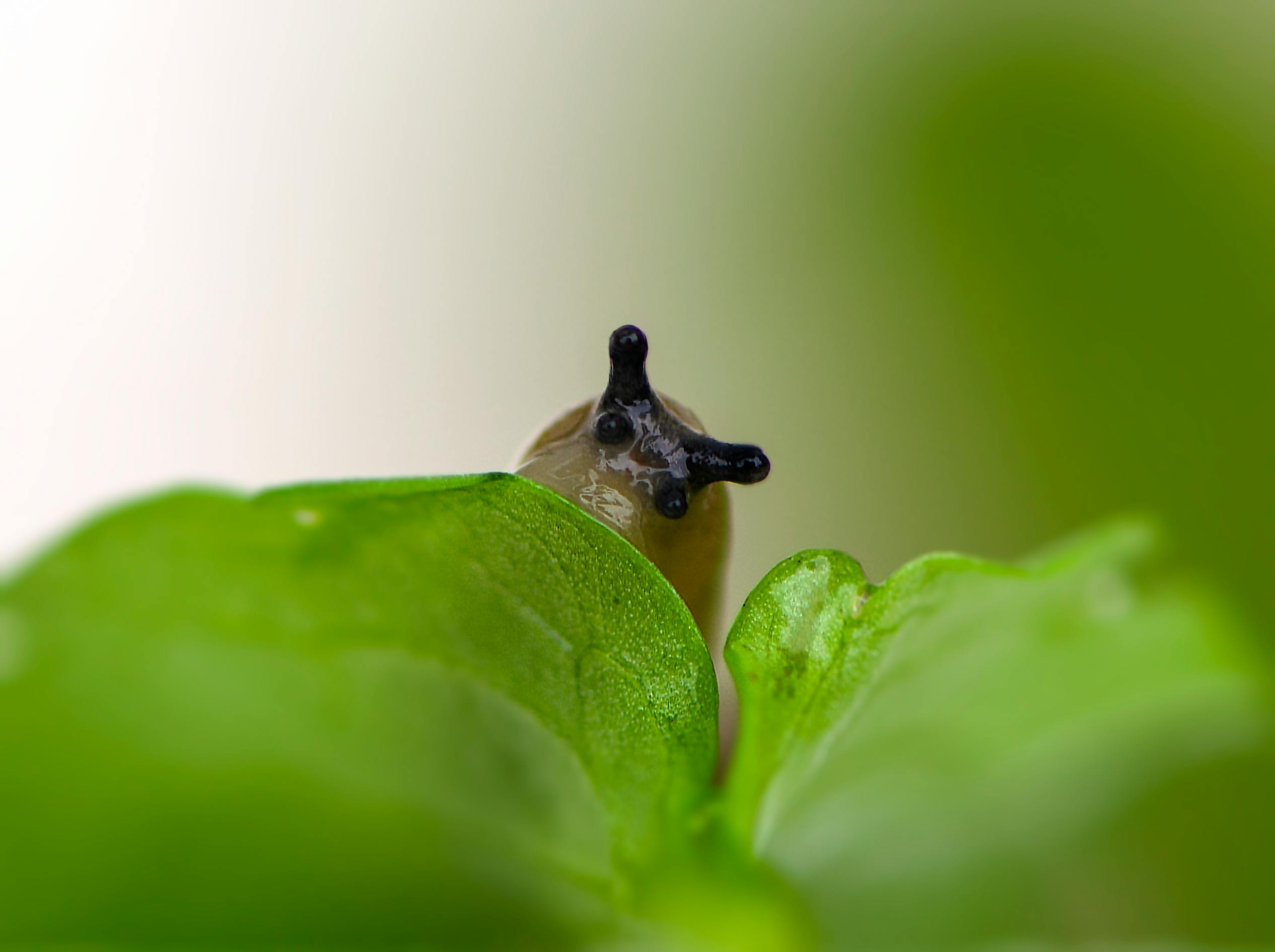 Environment Detection Photos, Download The BEST Free Environment ...