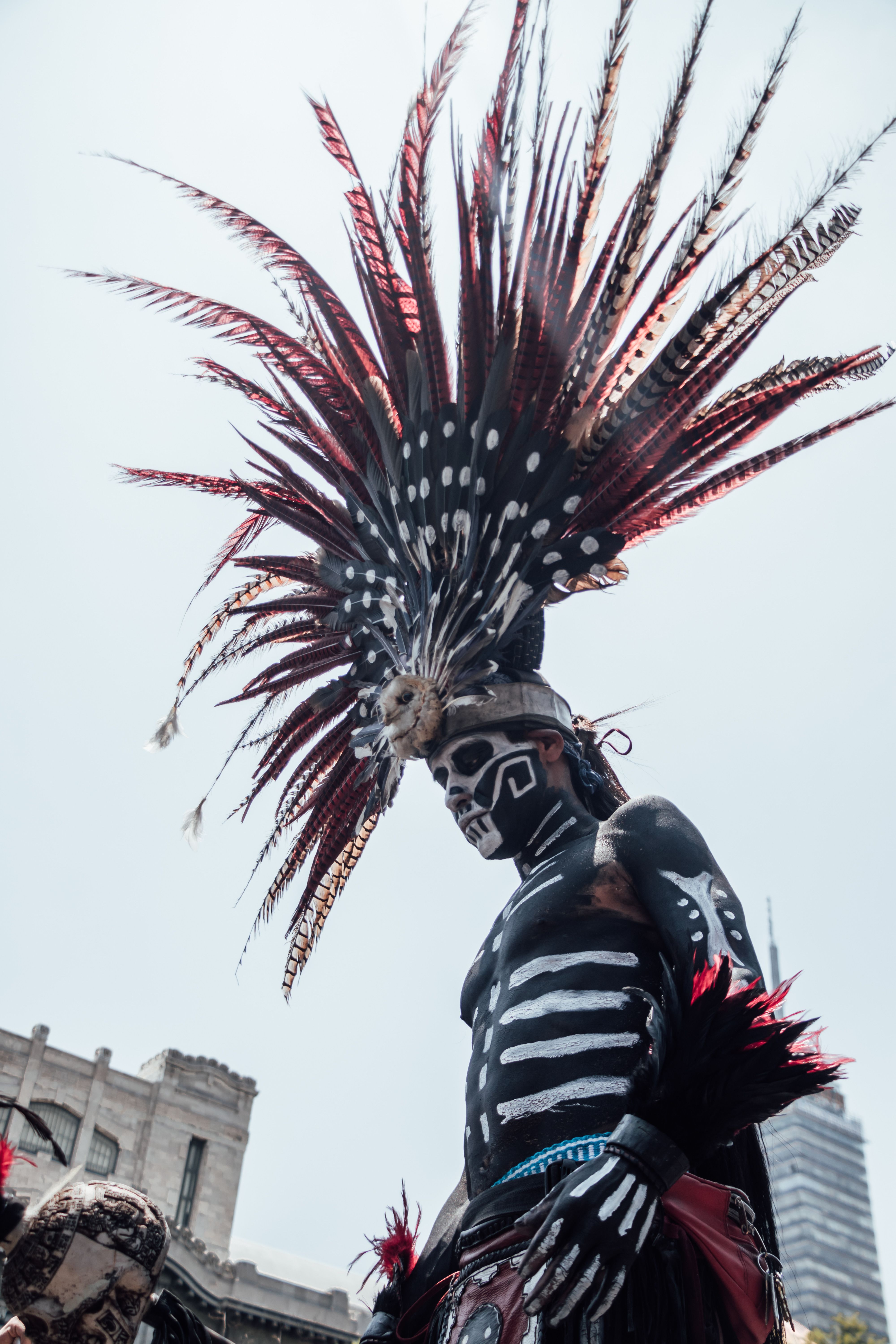 47+ Best Free Mohawk Stock Photos & Images · 100% Royalty-Free HD Downloads