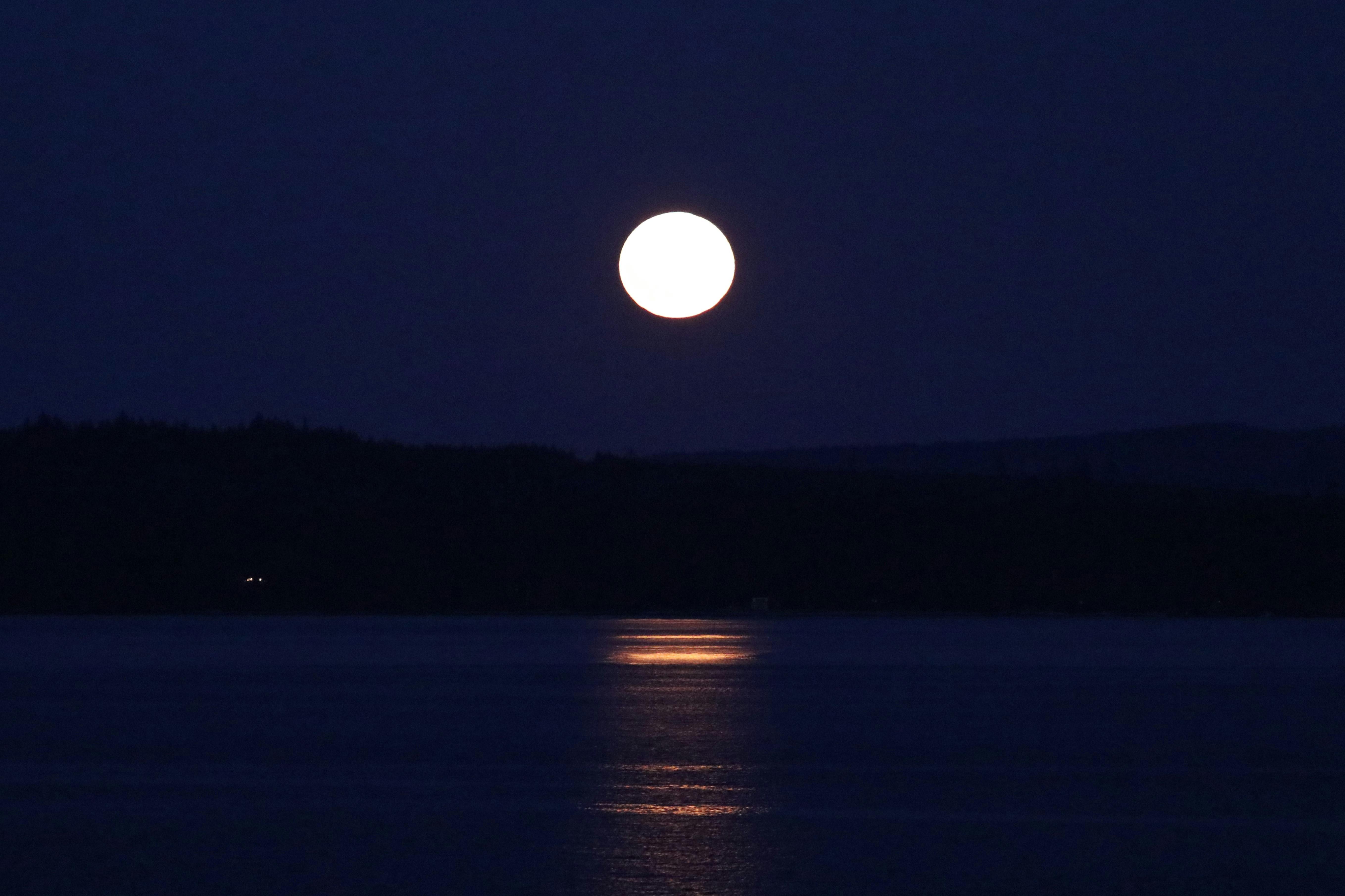 Majestic Moon over Lake · Free Stock Photo